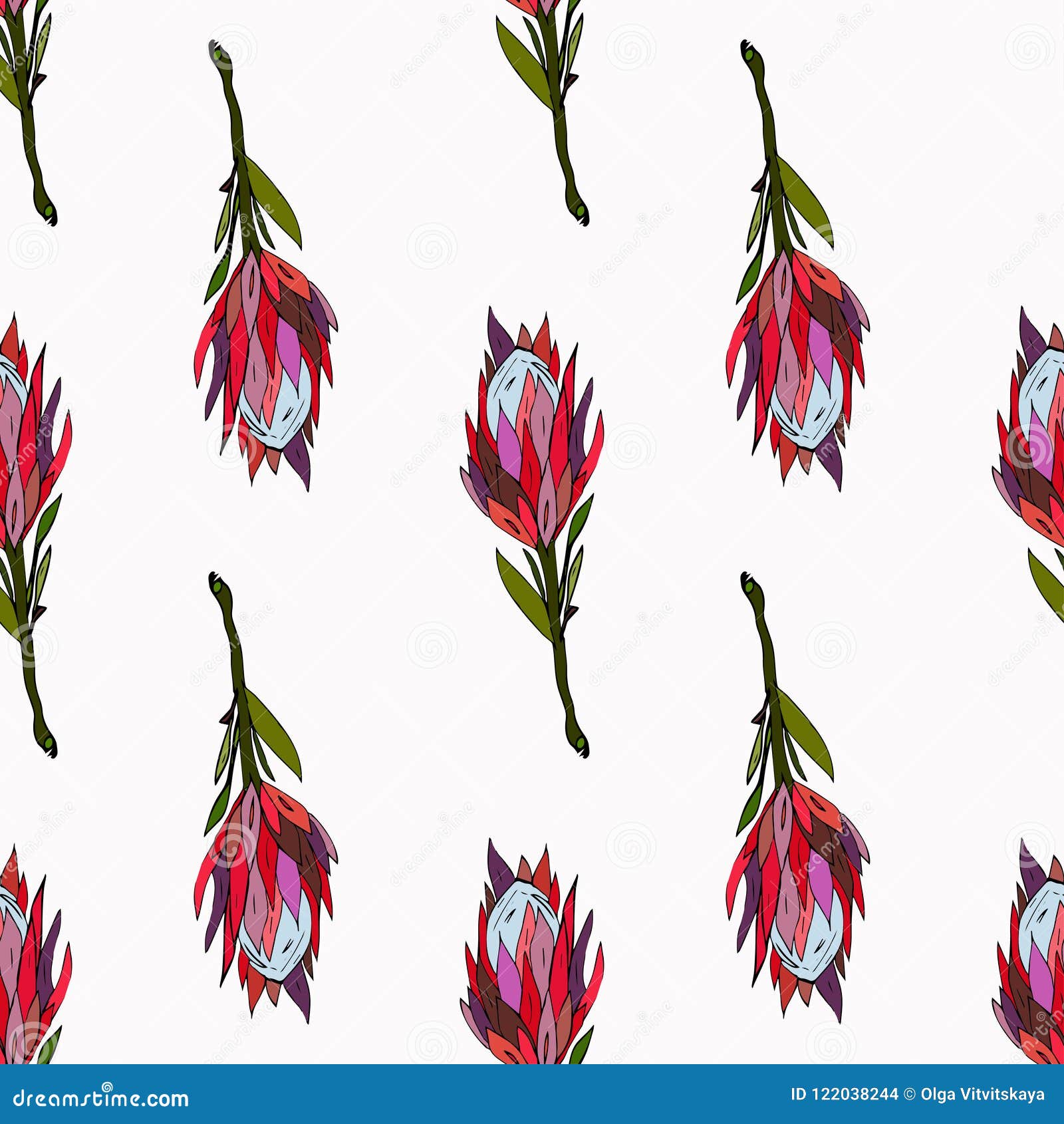 Hand Drawn Protea Seamless Pattern Vector Black and White Stock Vector ...