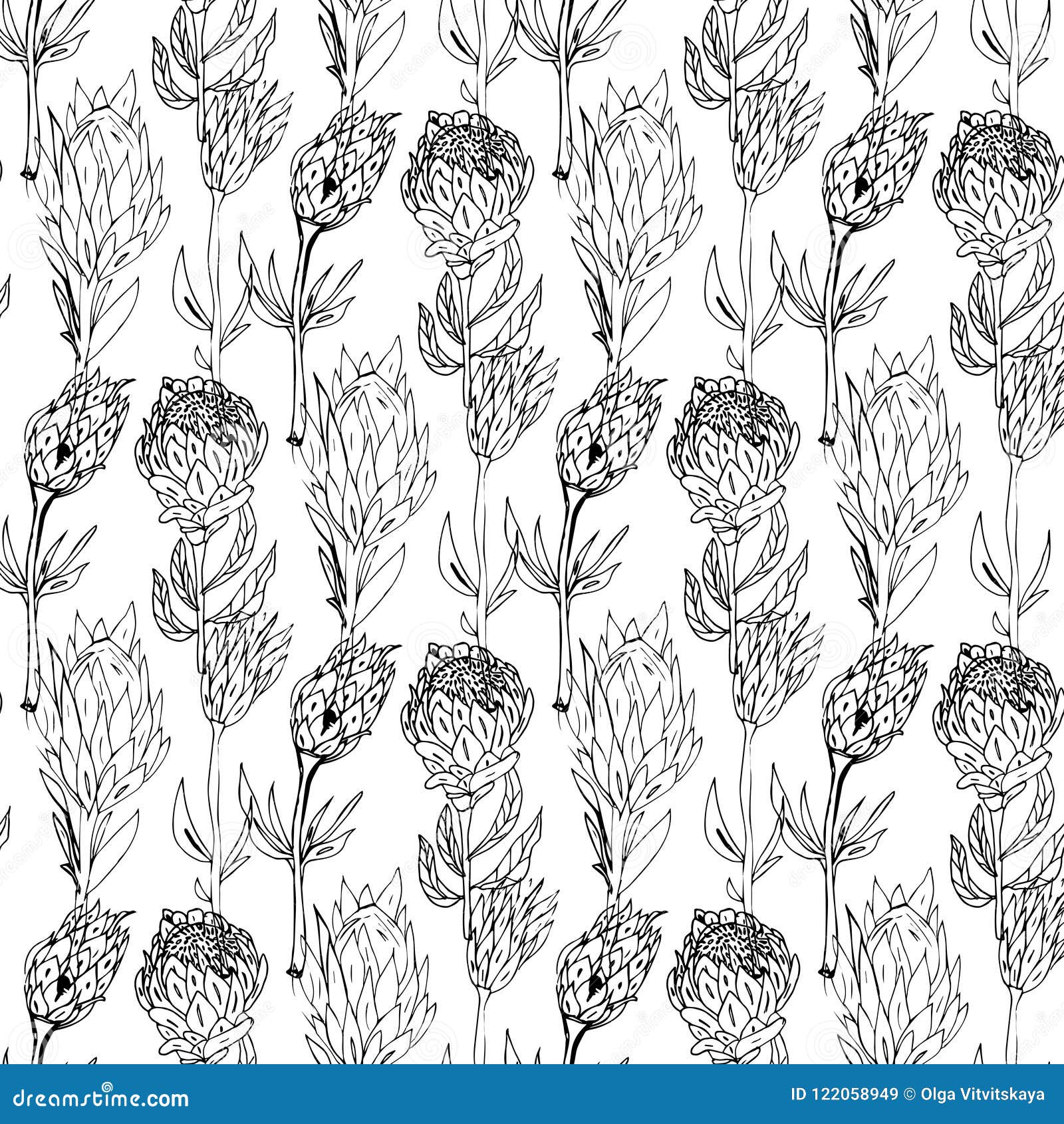 Hand Drawn Protea Seamless Pattern Vector Black and White Stock Vector ...