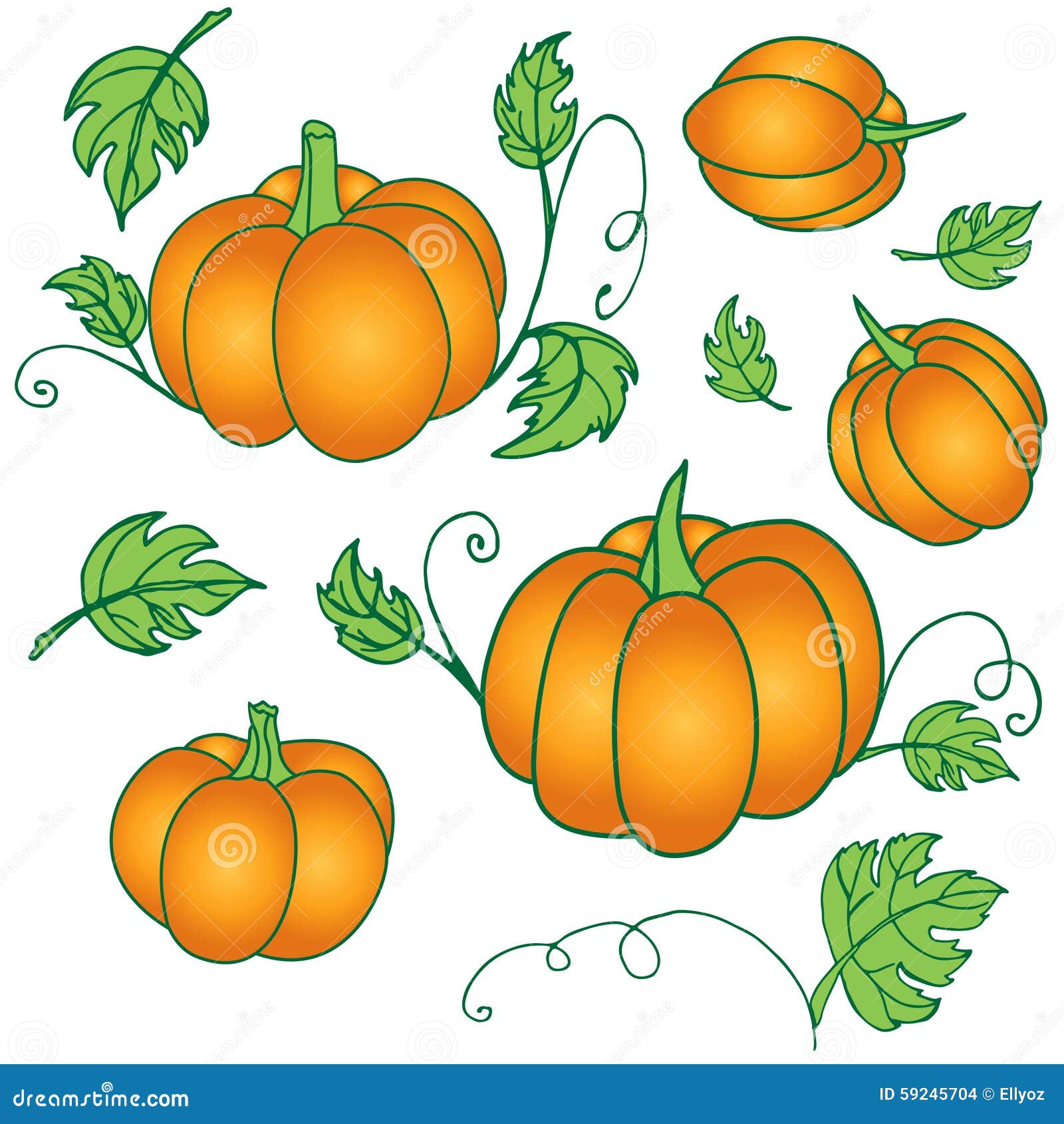 Hand Drawn Pumpkin stock vector. Illustration of nature - 59245704