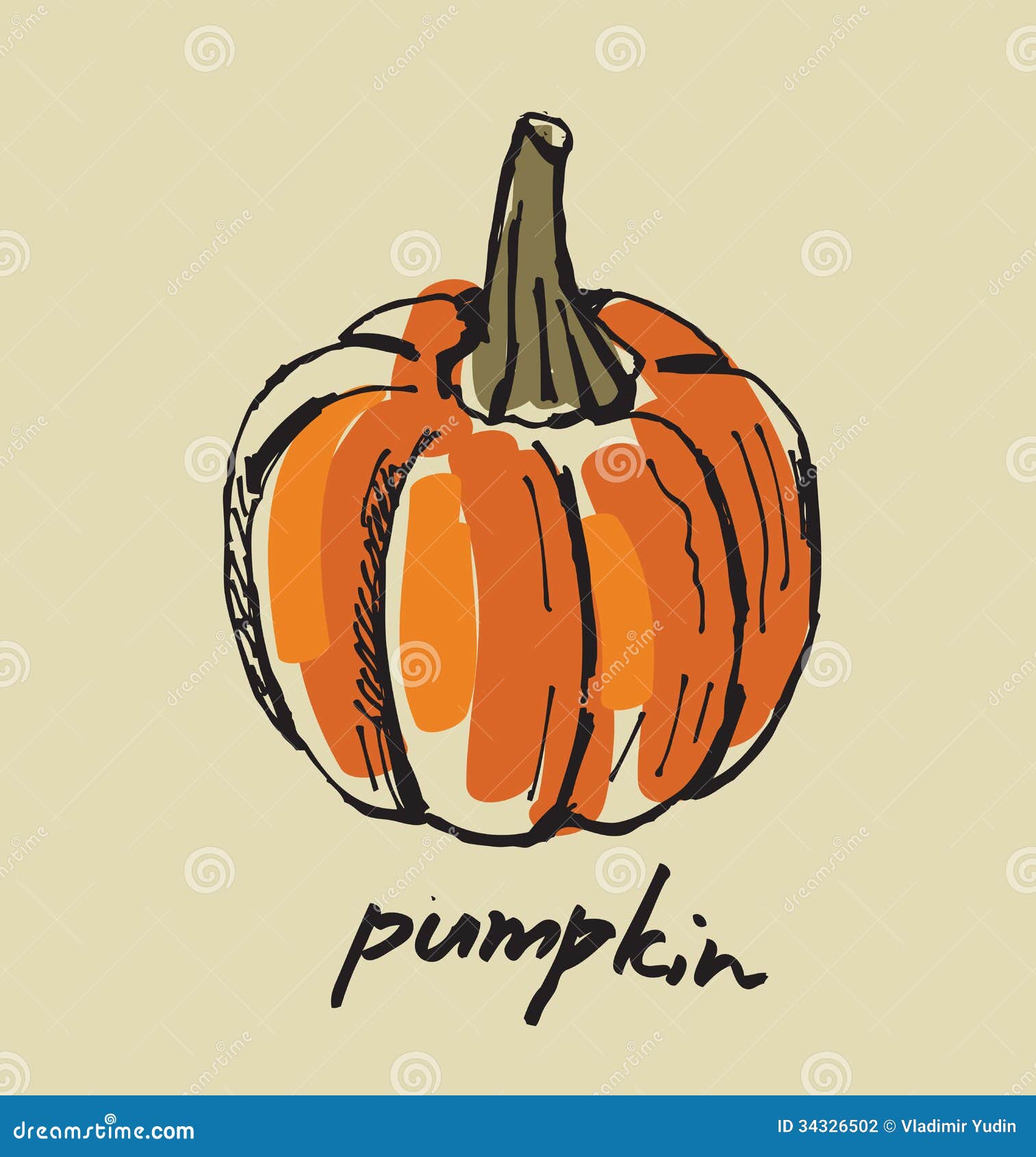 Hand drawn pumpkin stock vector. Illustration of doodle - 34326502