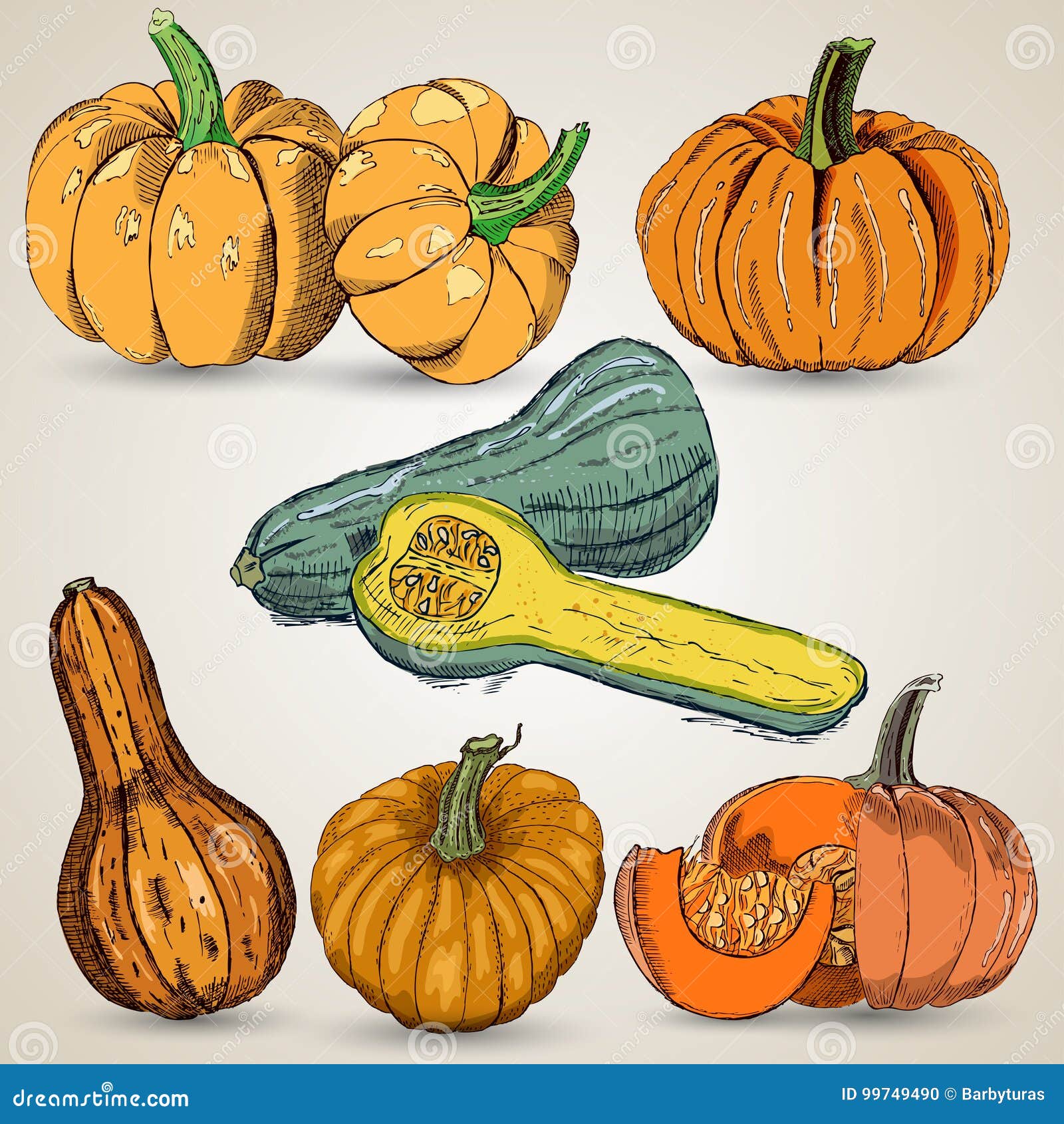 Hand drawn pumpkin set stock vector. Illustration of object - 99749490