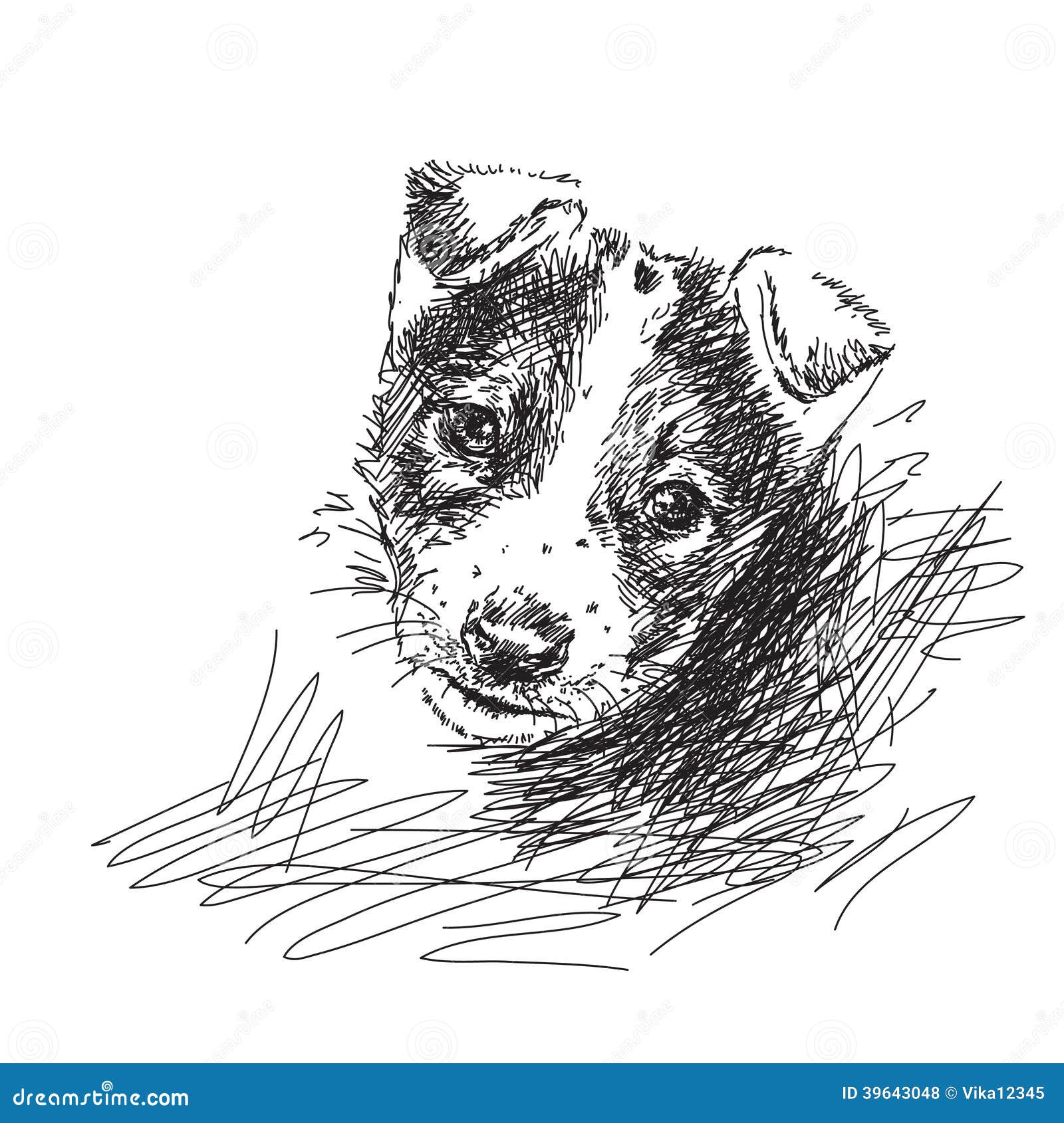 Hand drawn puppy dog stock vector. Illustration of hand - 39643048