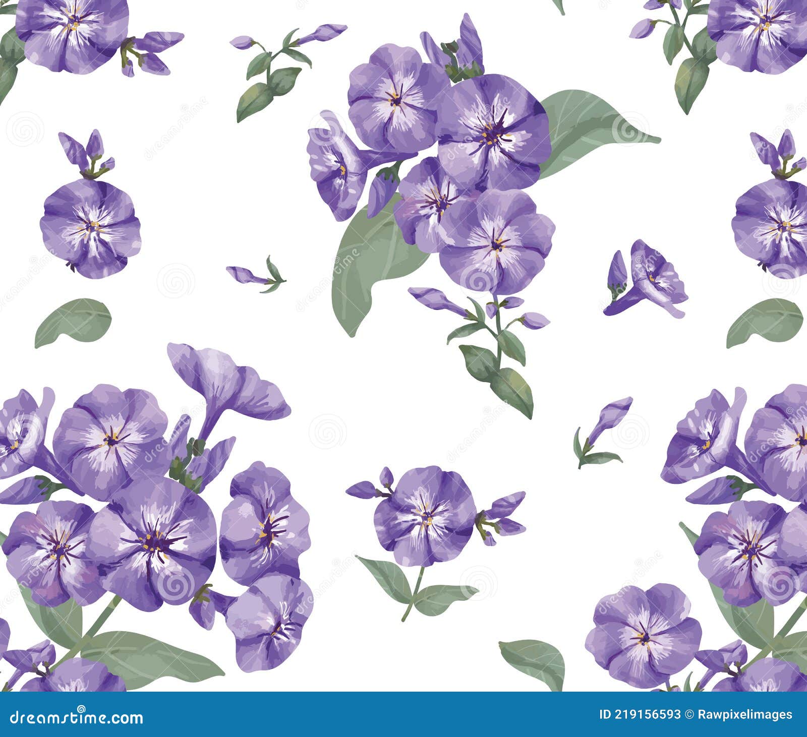 Flowering Phlox, Botanical Drawing, Graphic Black And White Sketch ...