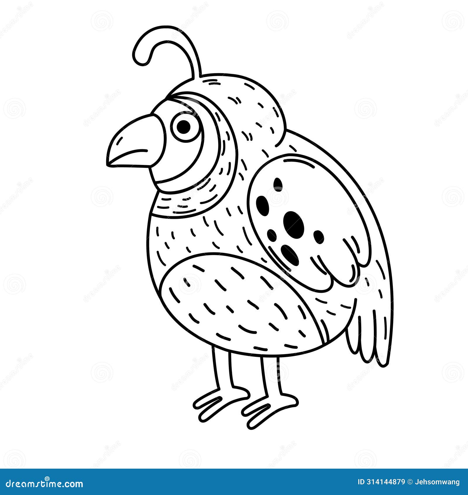 Hand Drawn Quail Character Illustration Stock Vector - Illustration of ...