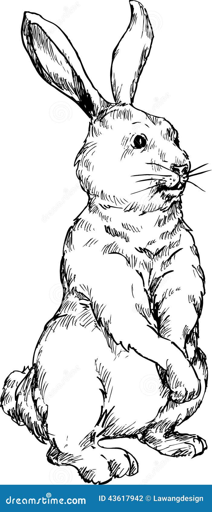 Hand drawn rabbit stock vector. Illustration of colorful - 43617942