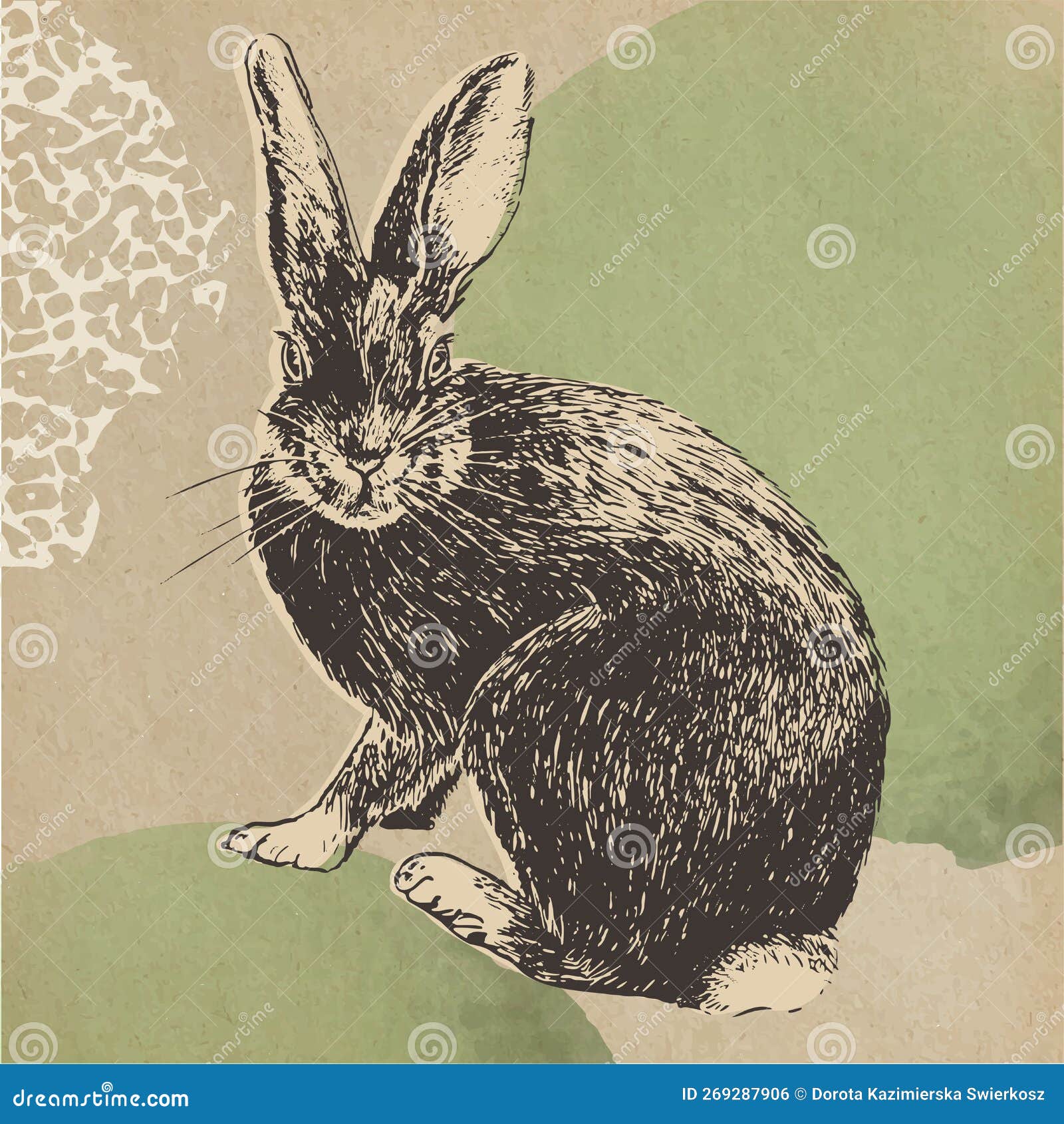 Hand Drawn with Ink Pen Wild Rabbit. Stock Vector - Illustration of ...