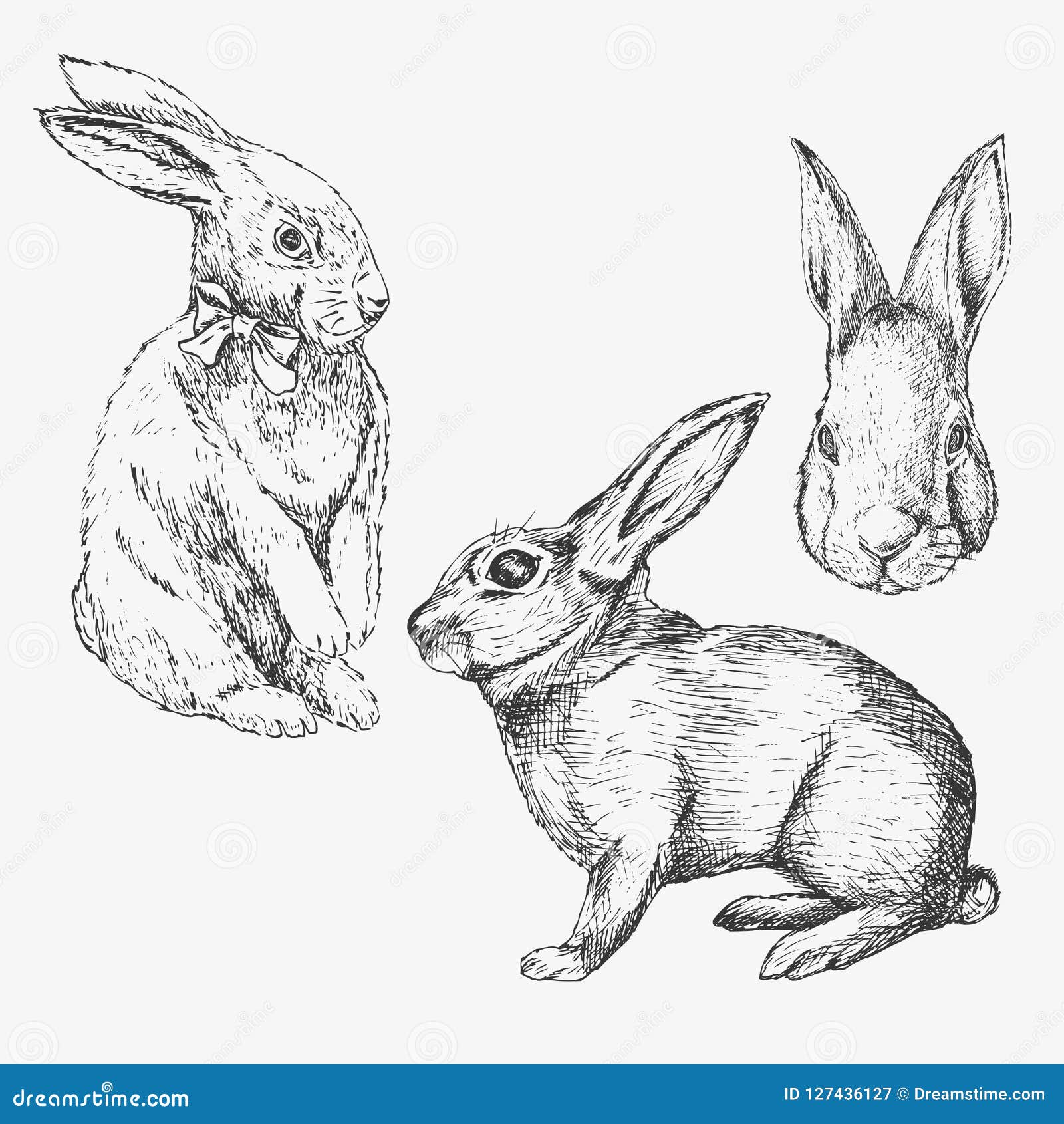 Hand Drawn Rabbits Set. Easter Bunnyes Stock Illustration ...
