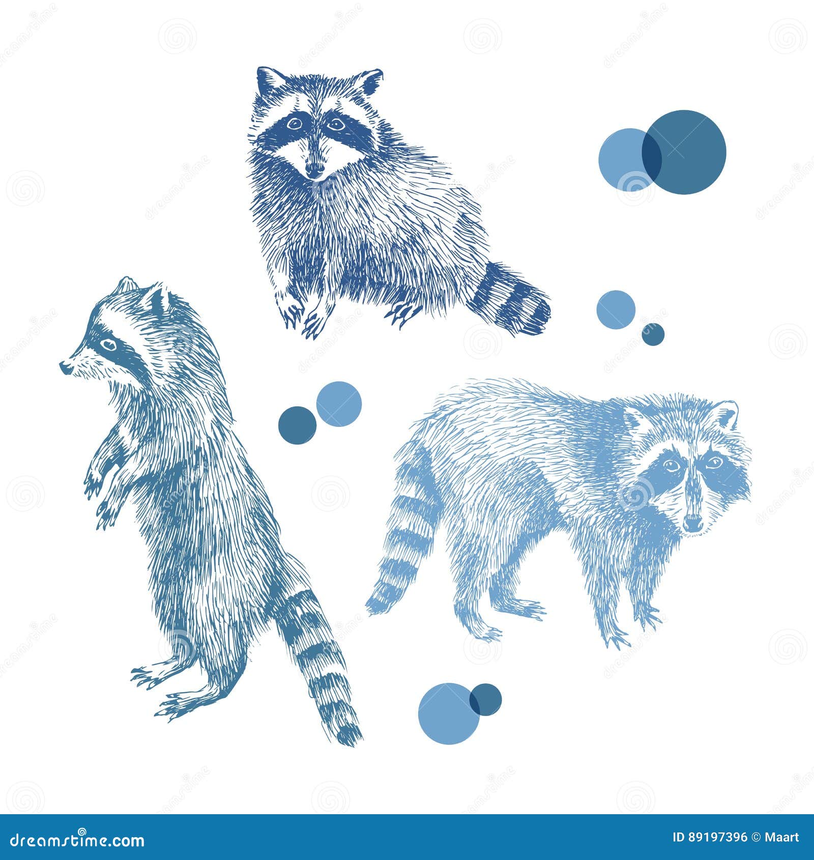 3 hand drawn raccoons stock vector. Illustration of baby - 89197396