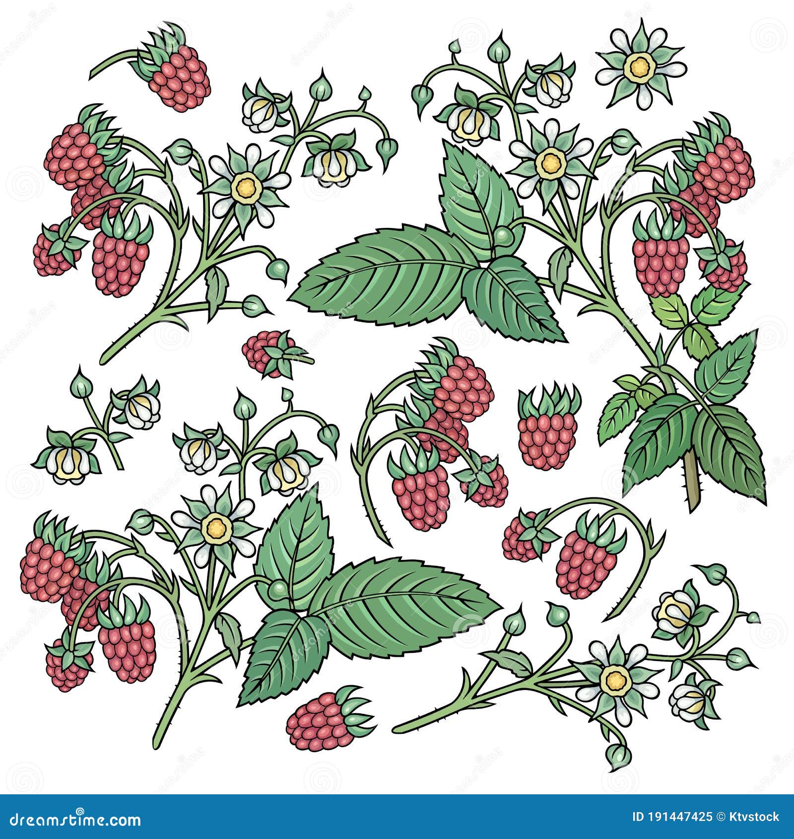 Hand Drawn Raspberries. Set of Objects Stock Vector - Illustration of ...