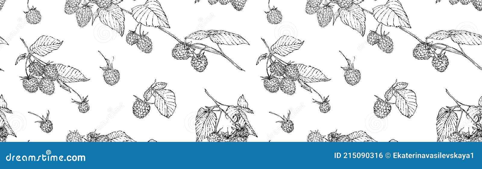 Hand Drawn Raspberry Branches with Leaves and Berries Seamless Pattern ...