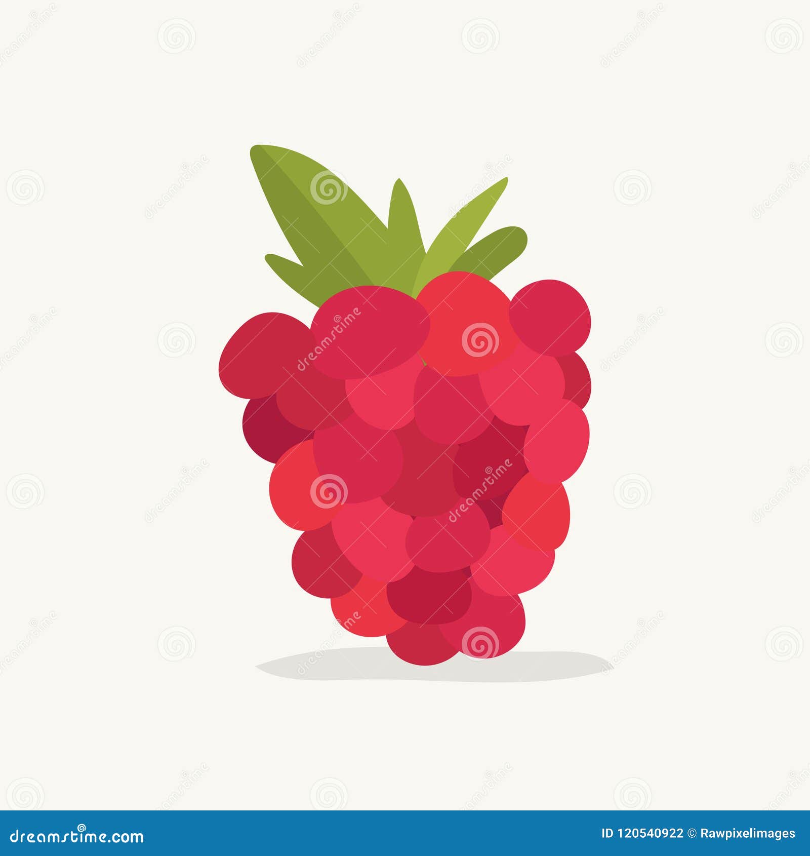 Hand Drawn Raspberry Fruit Illustration Stock Vector - Illustration of ...