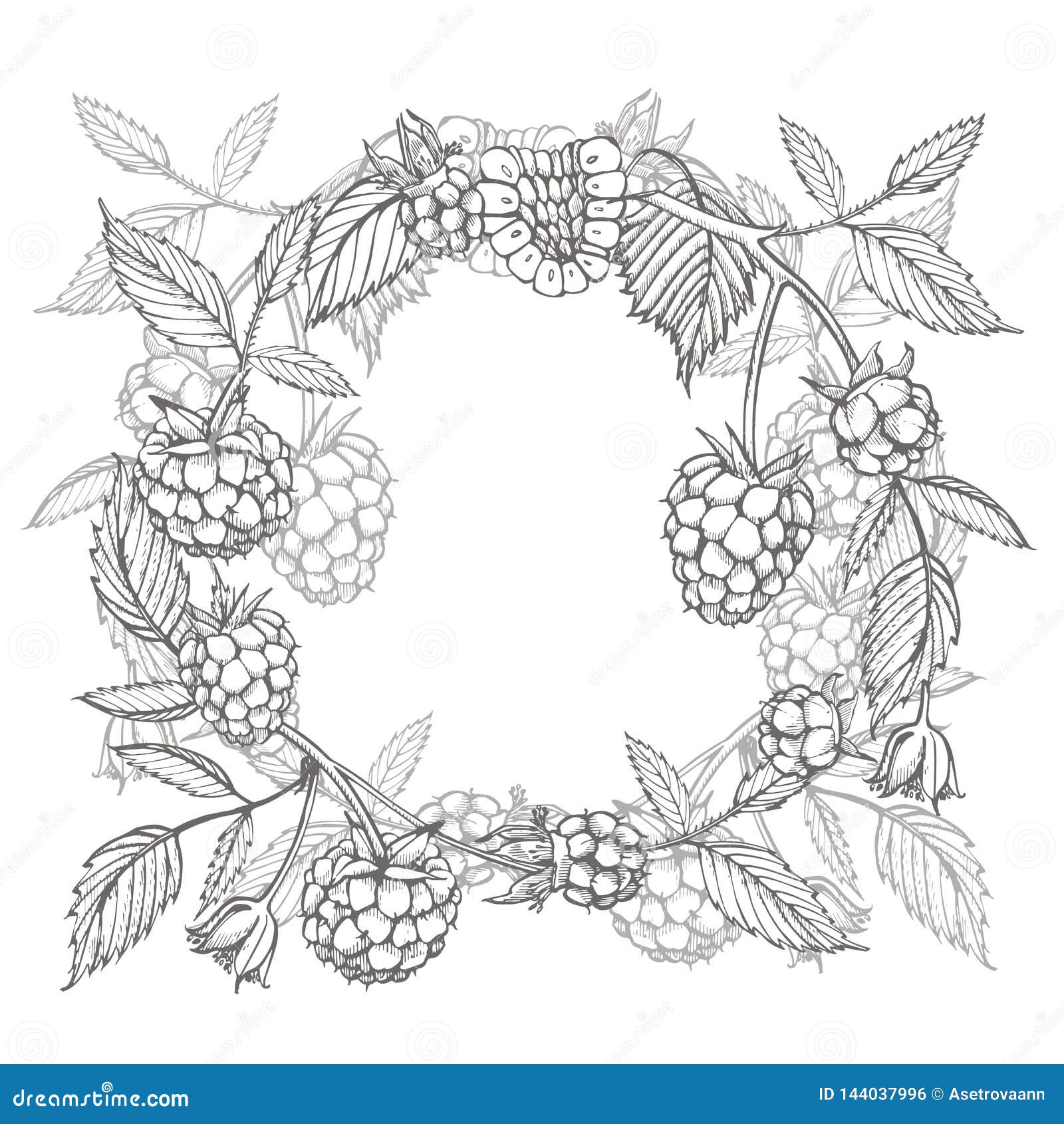 Hand Drawn Raspberry Set Isolated on White Background. Retro Sketch ...