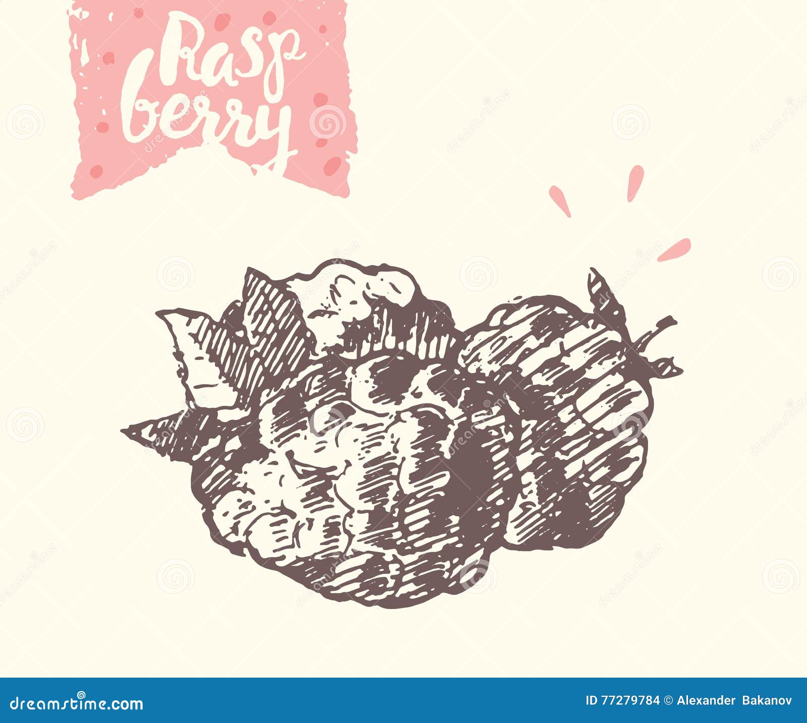 How To Draw Raspberry For Children. Step By Step Drawing Tutorial ...