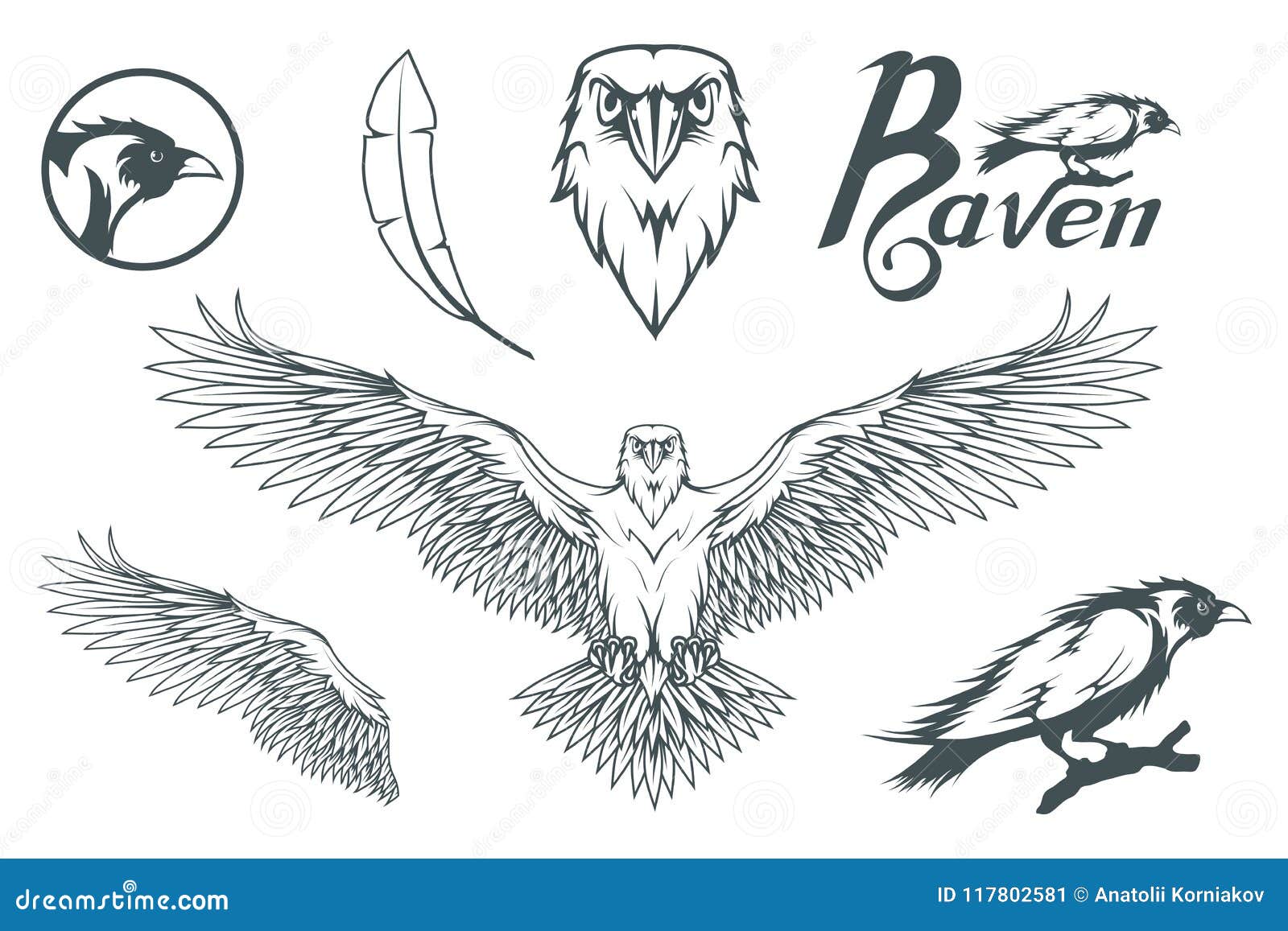 Hand Drawn Of The Raven. Wild Birds Drawing. Raven Logo. Cartoon Vector ...