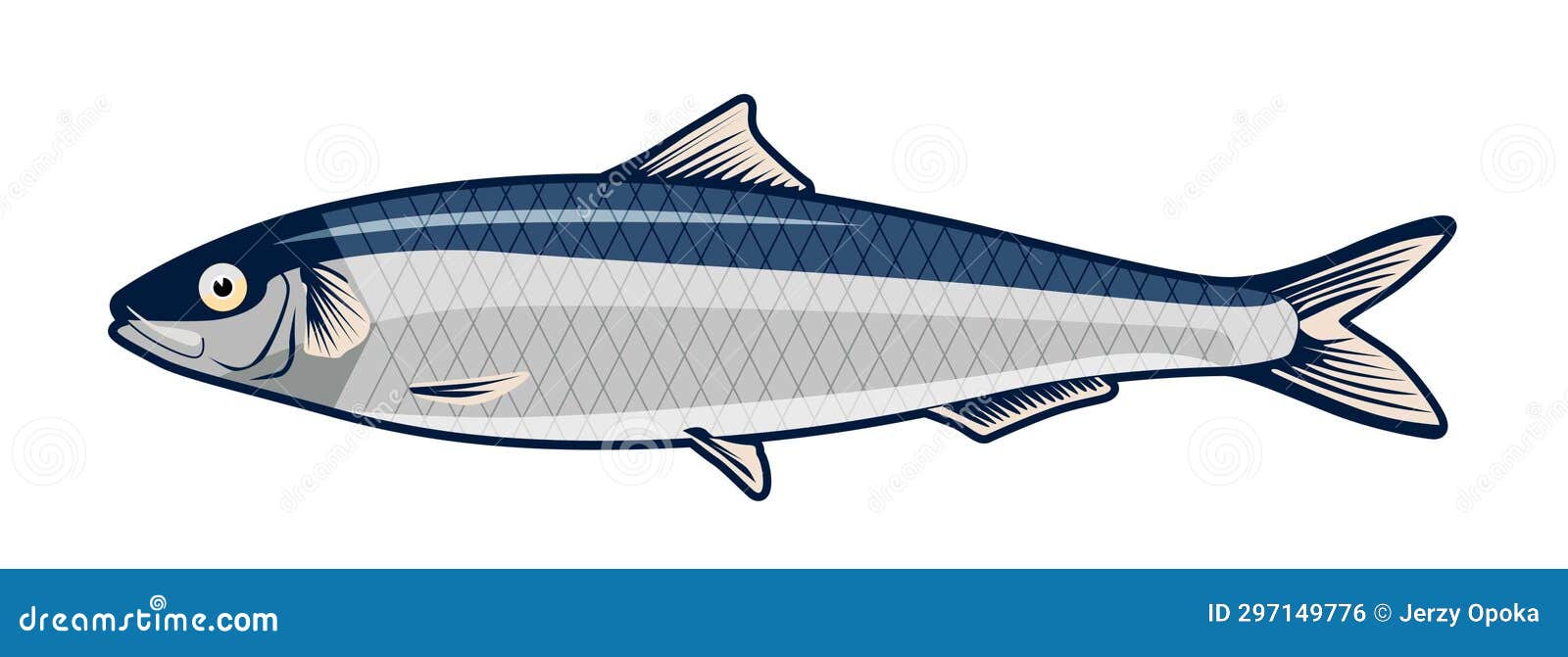 Sardine Stylized Fish. Drawing Of A Small Sprat, Made In The Style Of ...