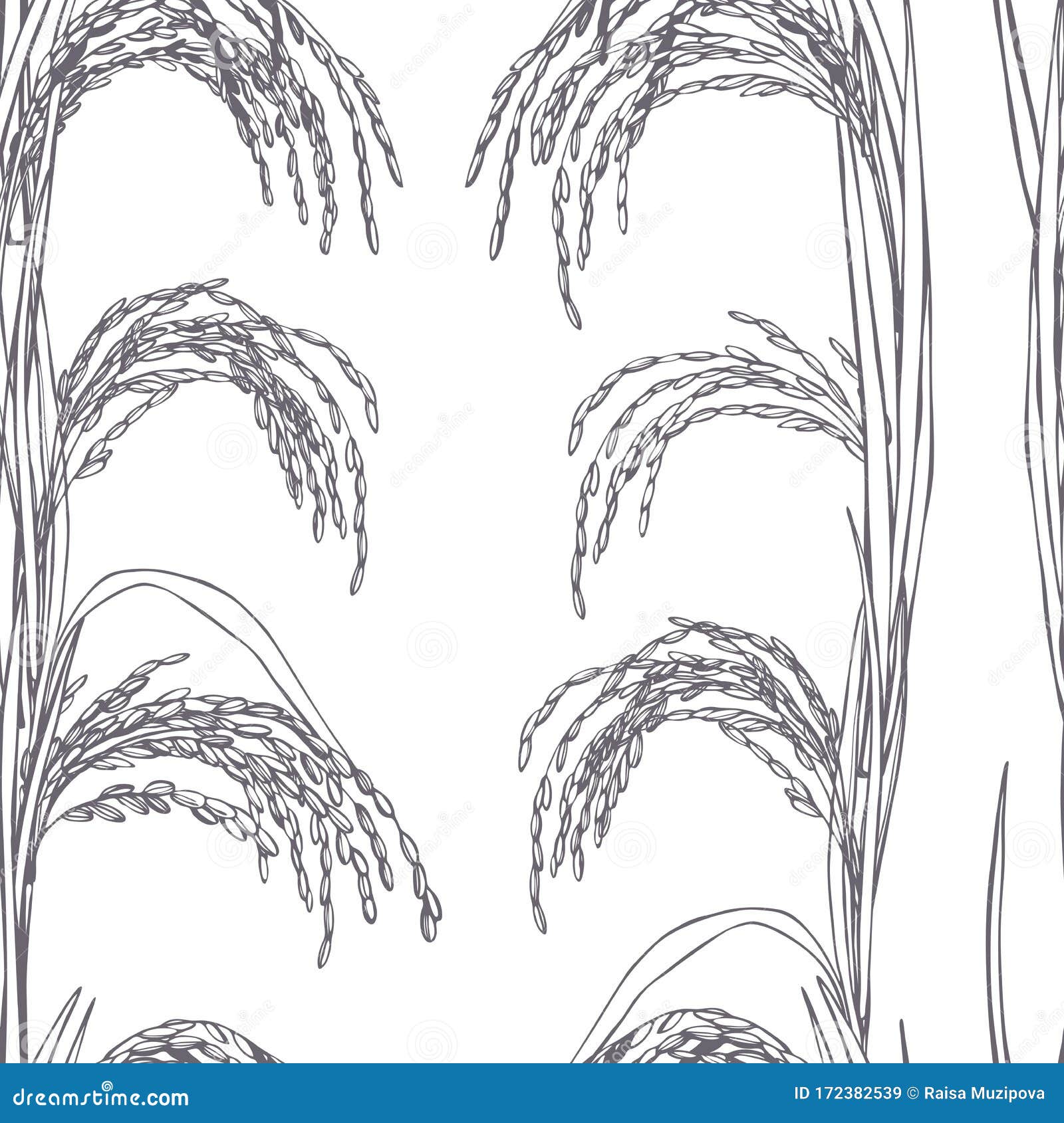 Hand Drawn Rice Plants. Vector Seamless Pattern Stock Vector ...