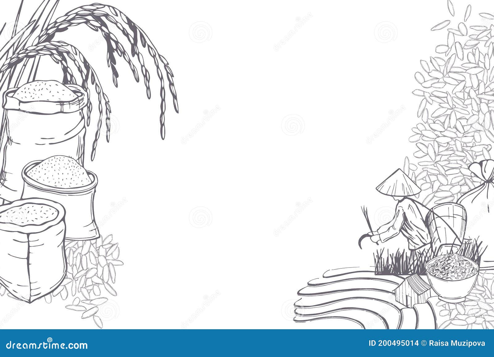 Hand drawn rice set stock vector. Illustration of ripe - 200495014