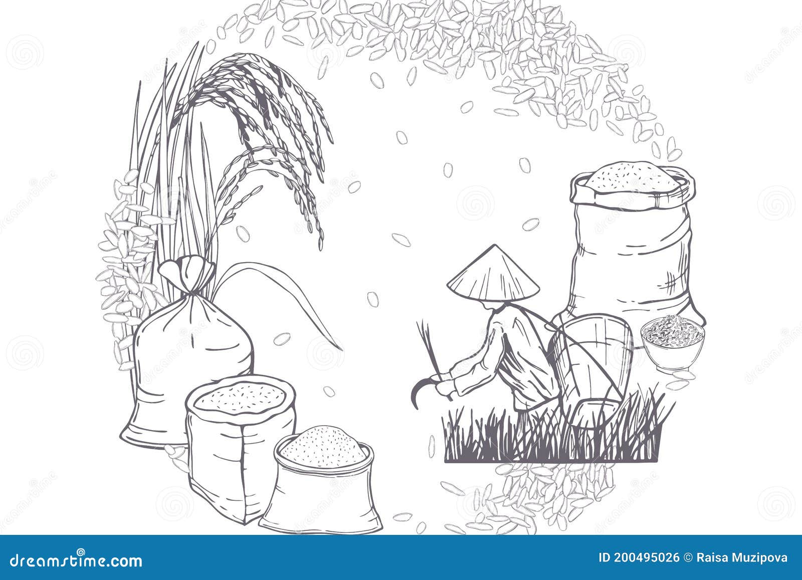 Hand drawn rice set stock vector. Illustration of land - 200495026