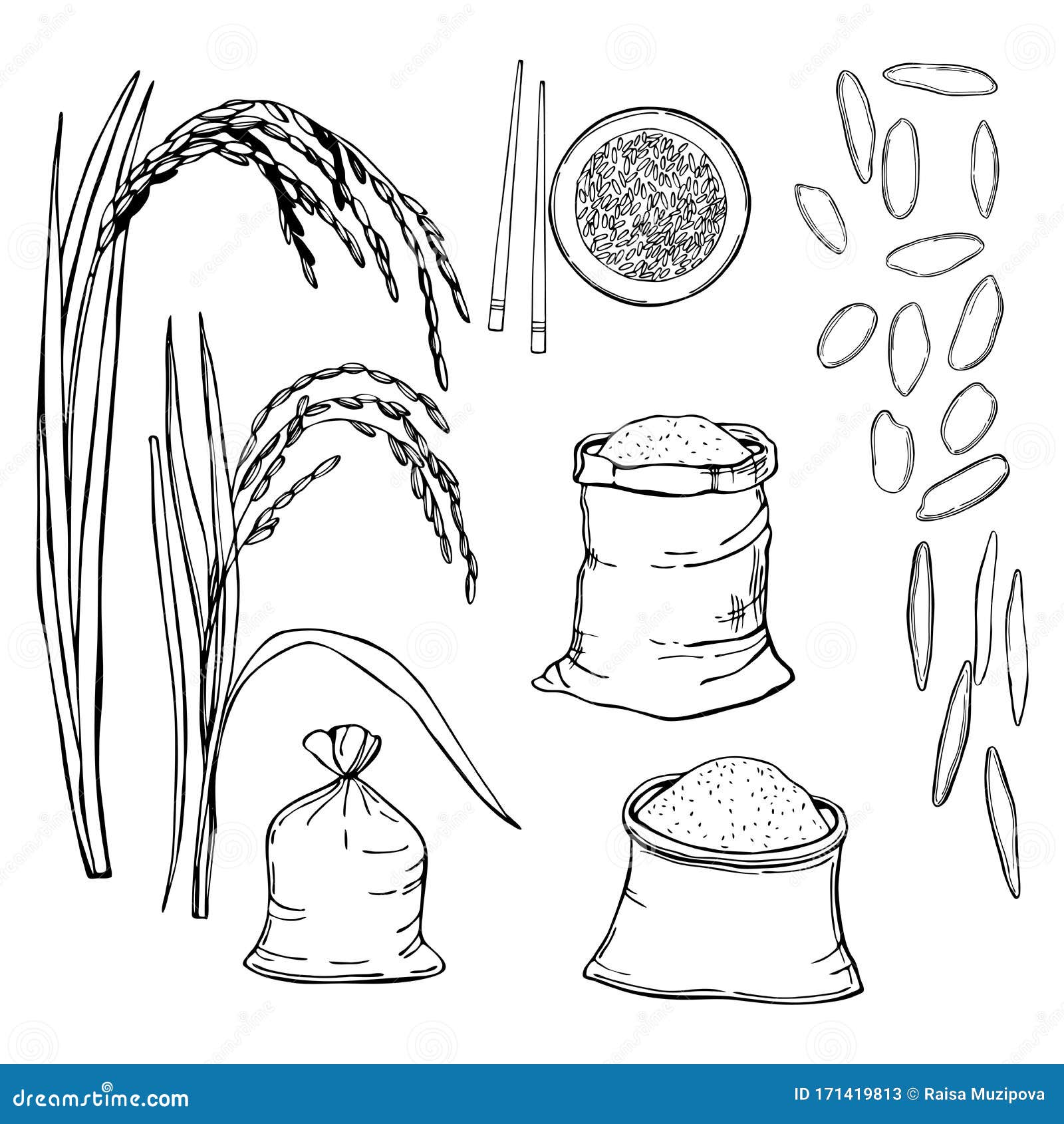 Hand Drawn Rice Set. Vector Sketch Illustration Stock Vector ... Hand Drawn Rice Set. Vector Sketch Illustration Stock Vector ...