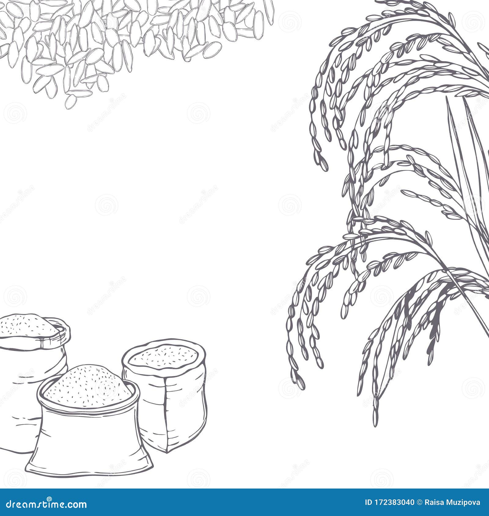 Rice Vector Hand Drawn Illustration | CartoonDealer.com #102428933