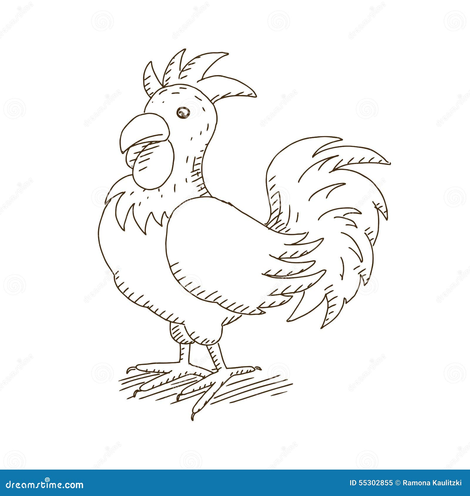 Hand Drawn Rooster stock illustration. Illustration of feathers - 55302855