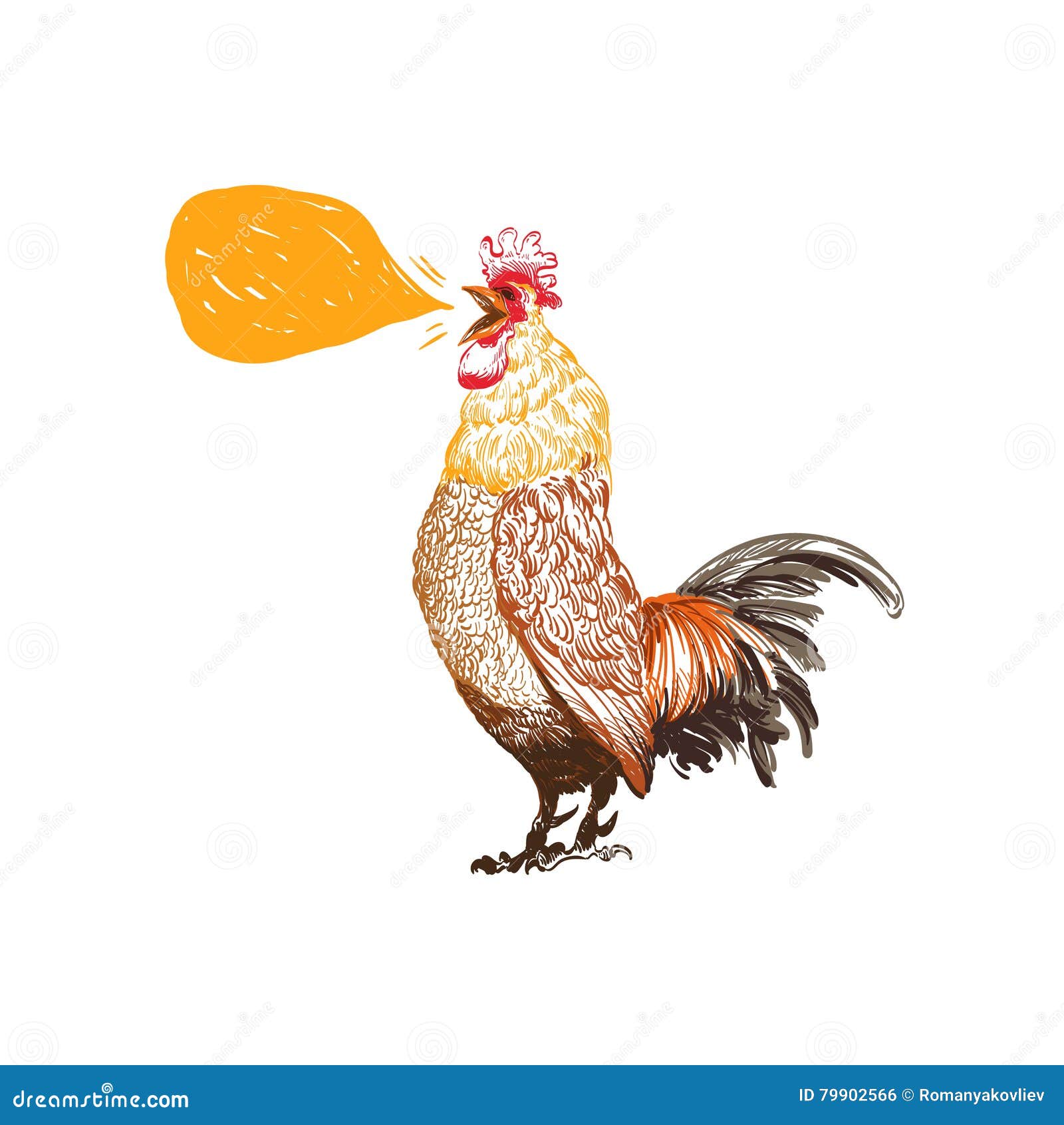 Hand Drawn Rooster Sketch. Vector Illustration Stock Vector ...