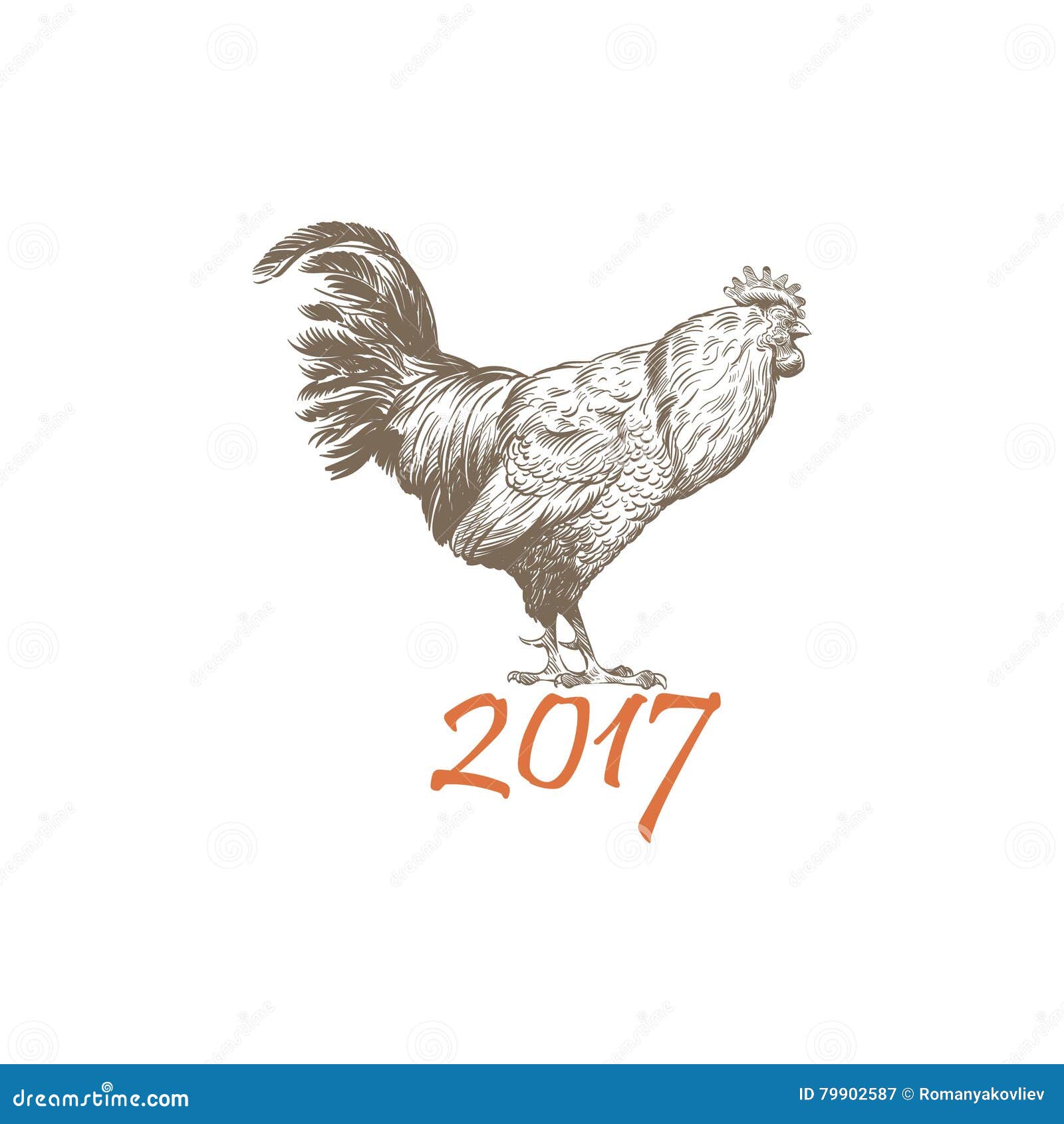Hand Drawn Rooster Sketch. Vector Illustration Stock Vector ...