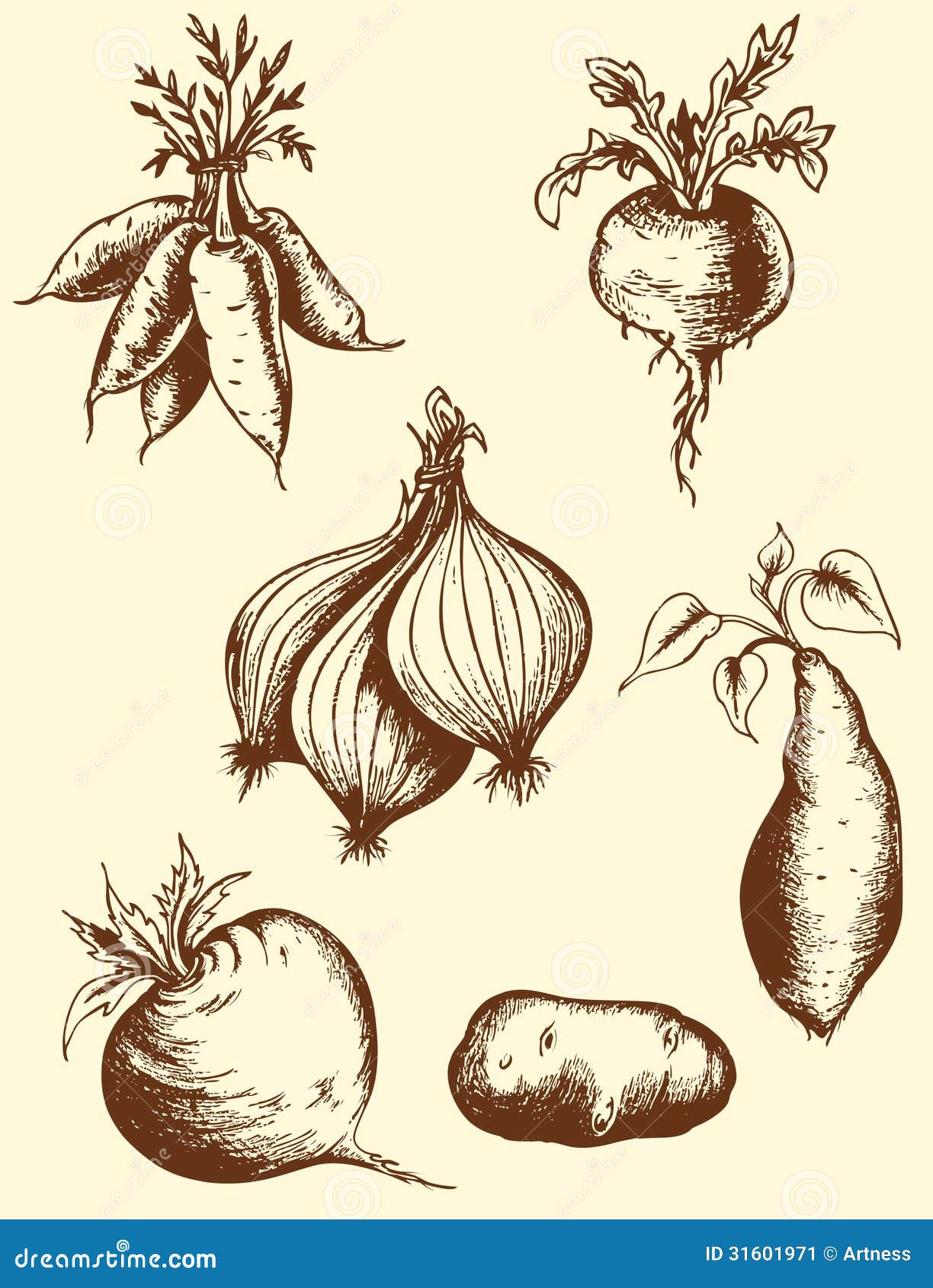 Hand drawn roots stock vector. Illustration of retro - 31601971