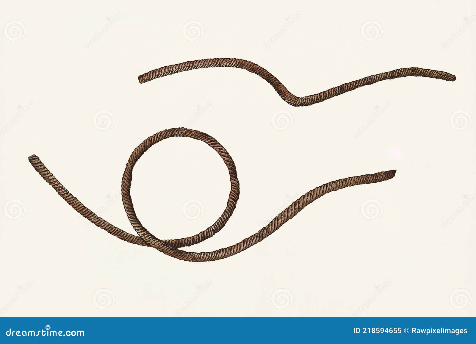 Hand drawn rope isolated stock illustration. Illustration of cord ...