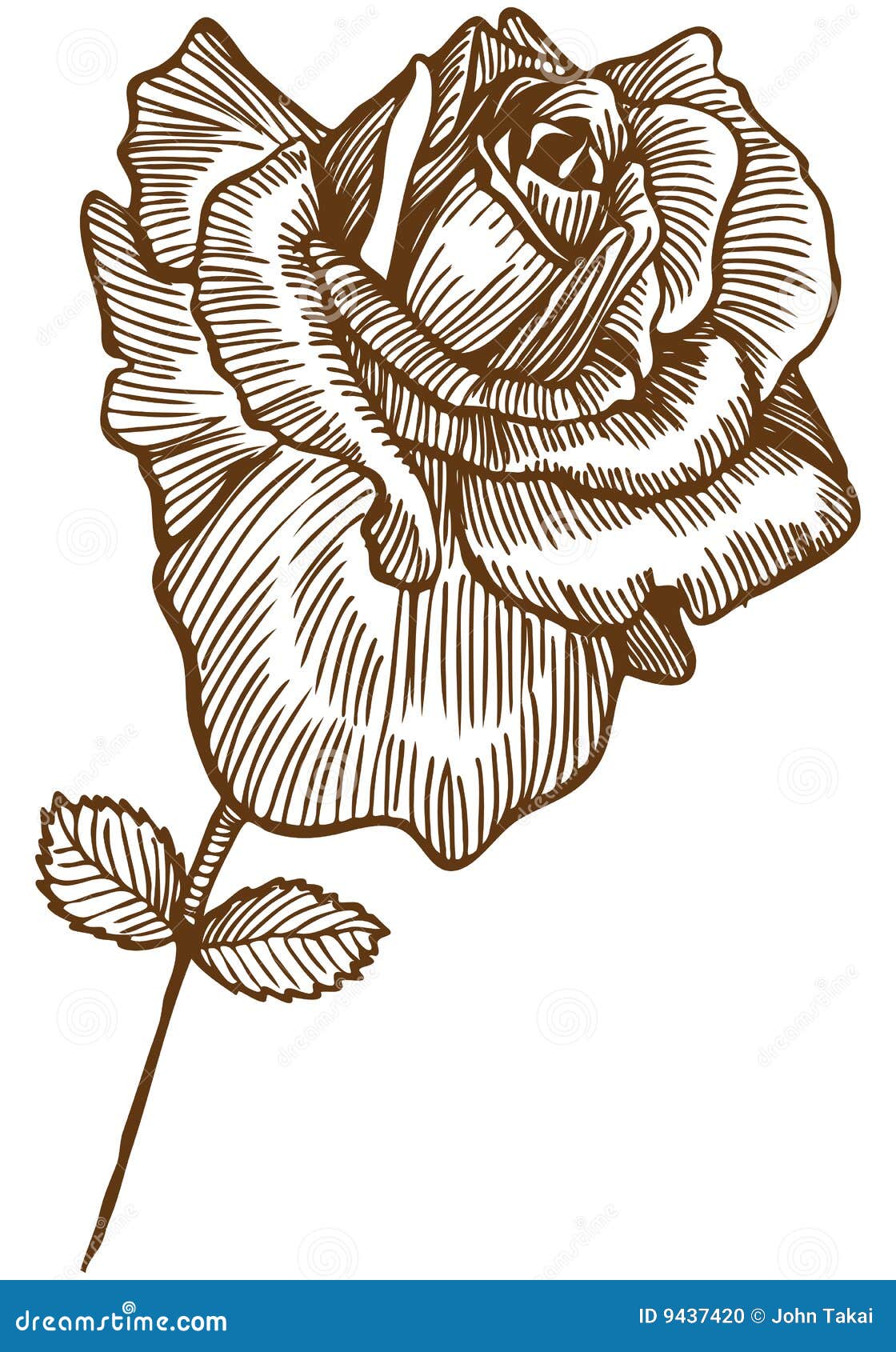 Hand Drawn Rose stock vector. Illustration of petal, floral - 9437420