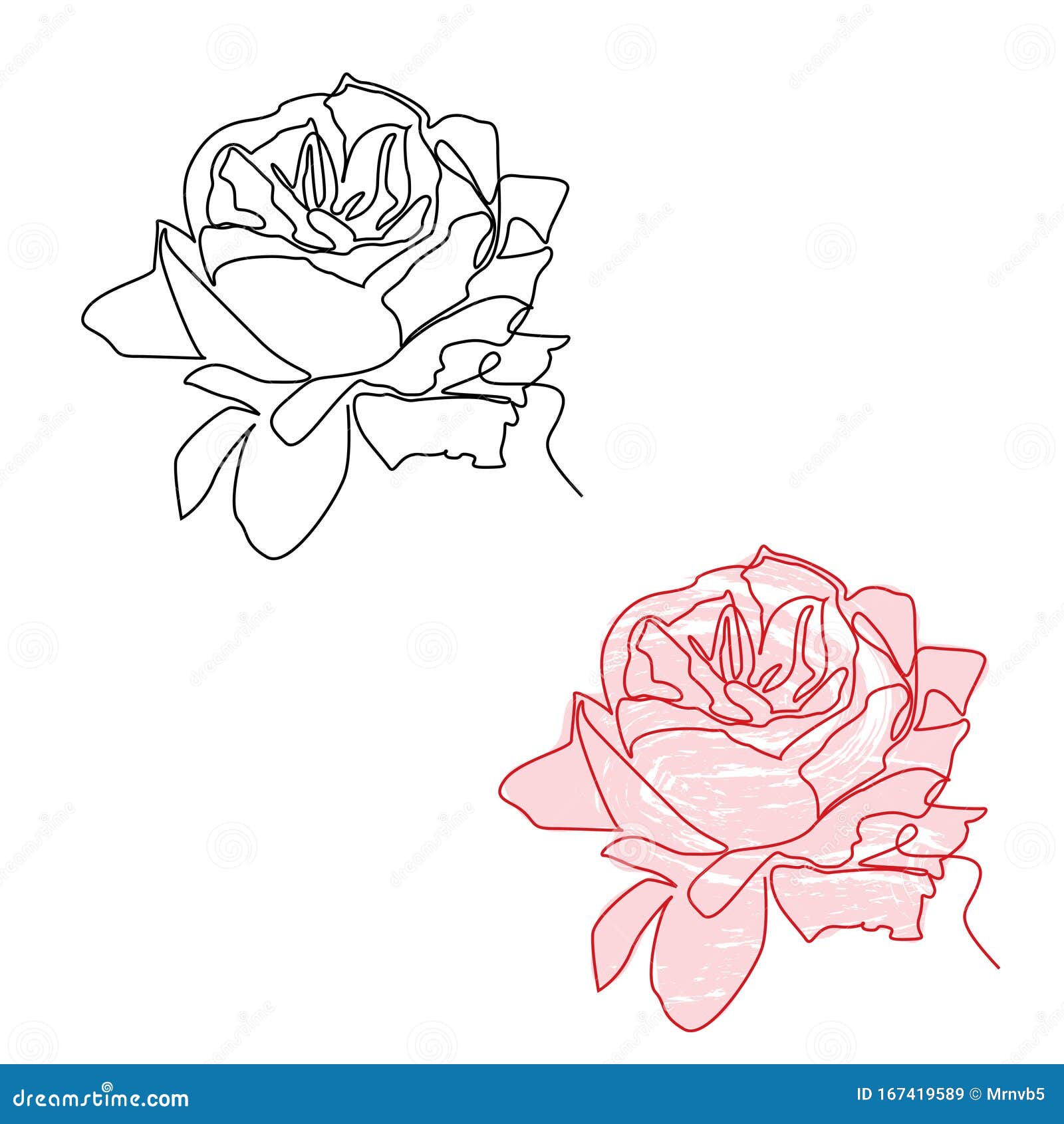 Hand Drawn Rose Contour. Continuous Drawing with One Line Stock Vector ...
