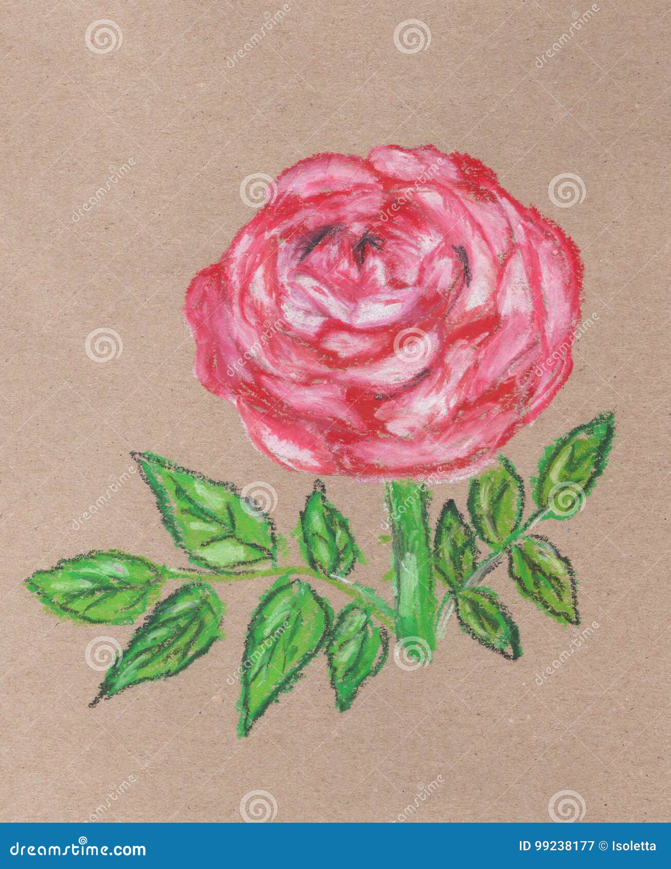 Hand drawn rose flower stock illustration. Illustration of flower ...