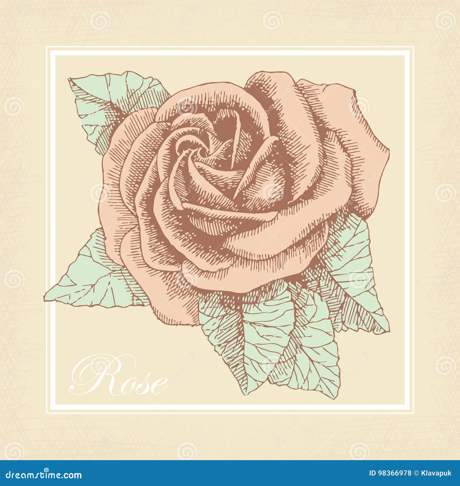 Hand Drawn Rose in a Retro Style Stock Vector - Illustration of drawn ...