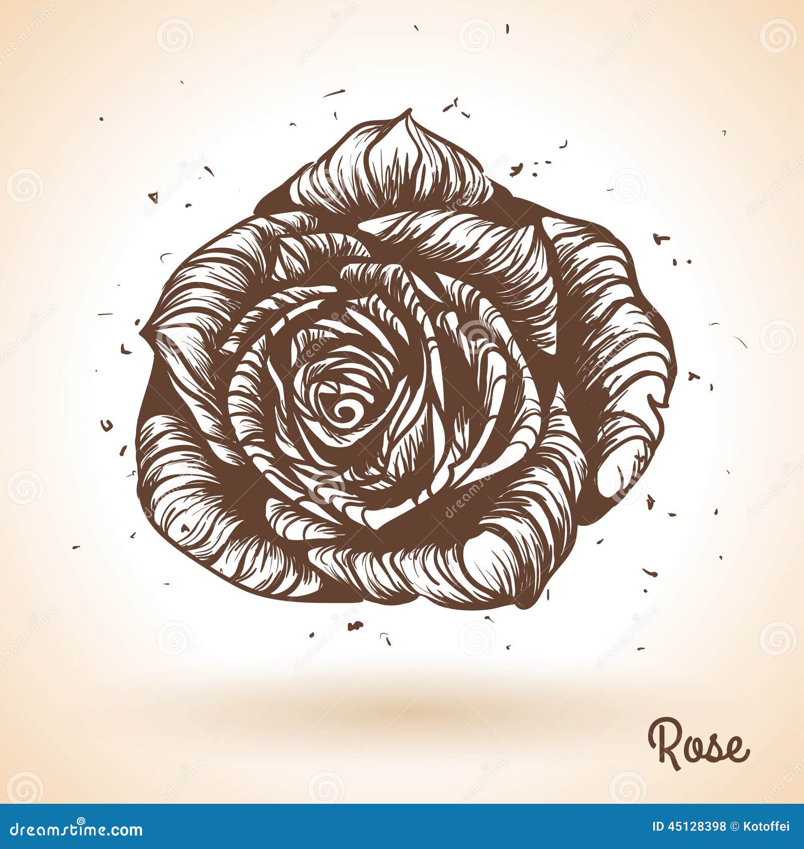 Hand drawn rose. stock vector. Illustration of botanical - 45128398