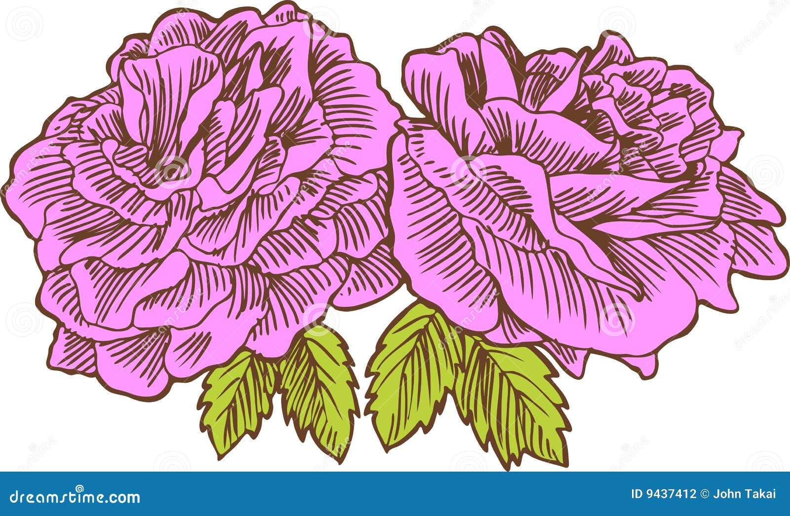 Hand Drawn Roses stock vector. Illustration of abstract - 9437412