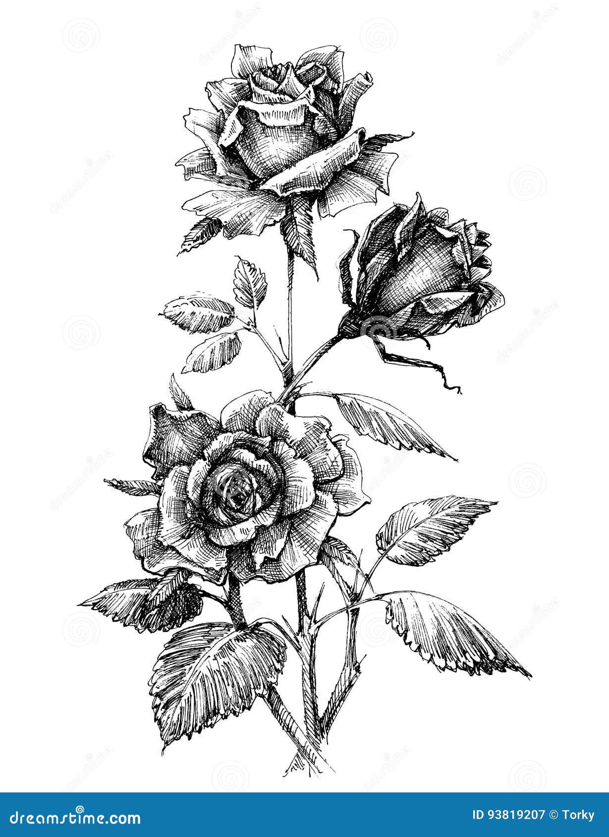 Posh Hand Stock Illustrations – 4,644 Posh Hand Stock Illustrations ...