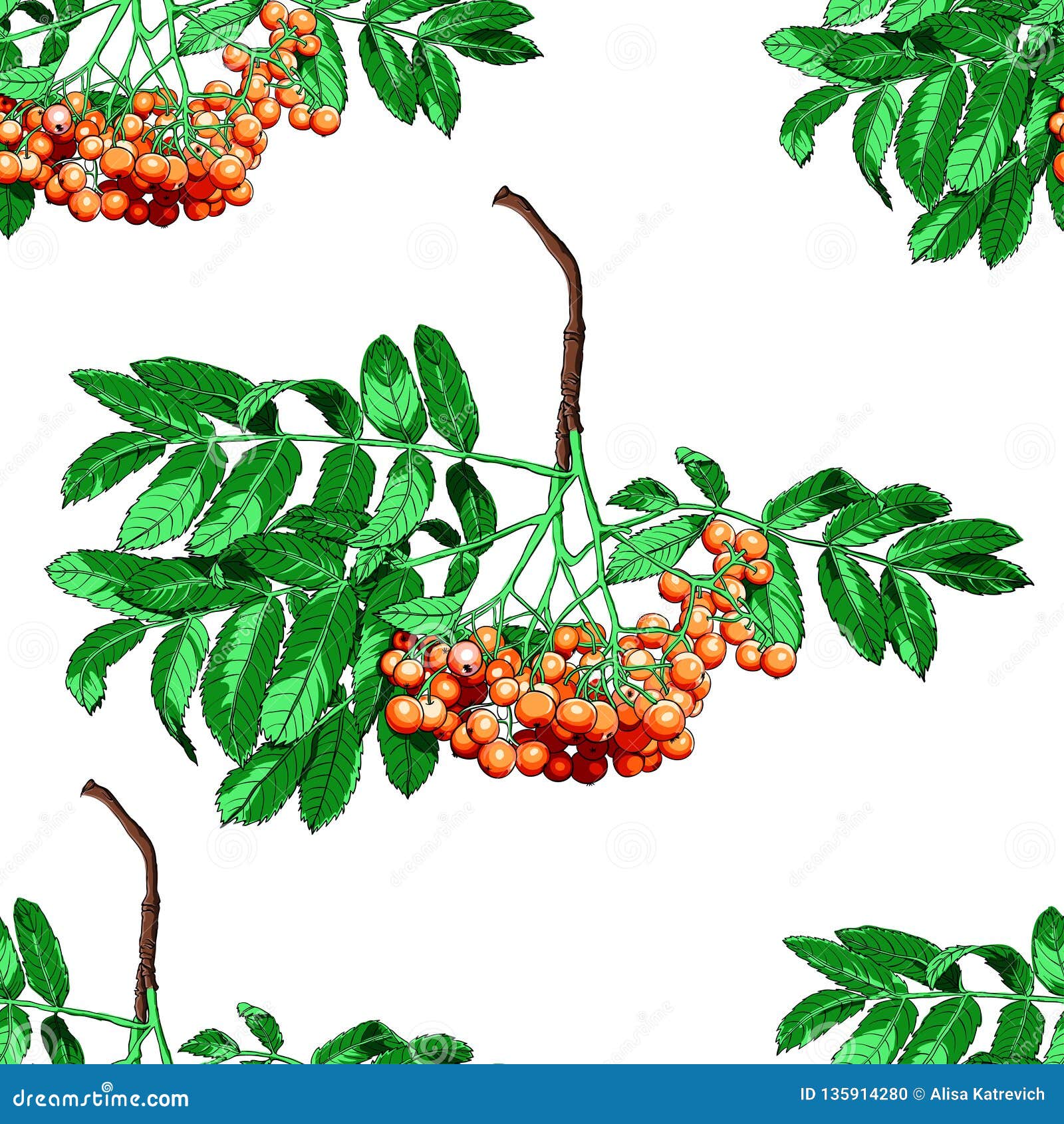 Hand Drawn Rowan Tree Seamless Pattern Isolated on White Background ...
