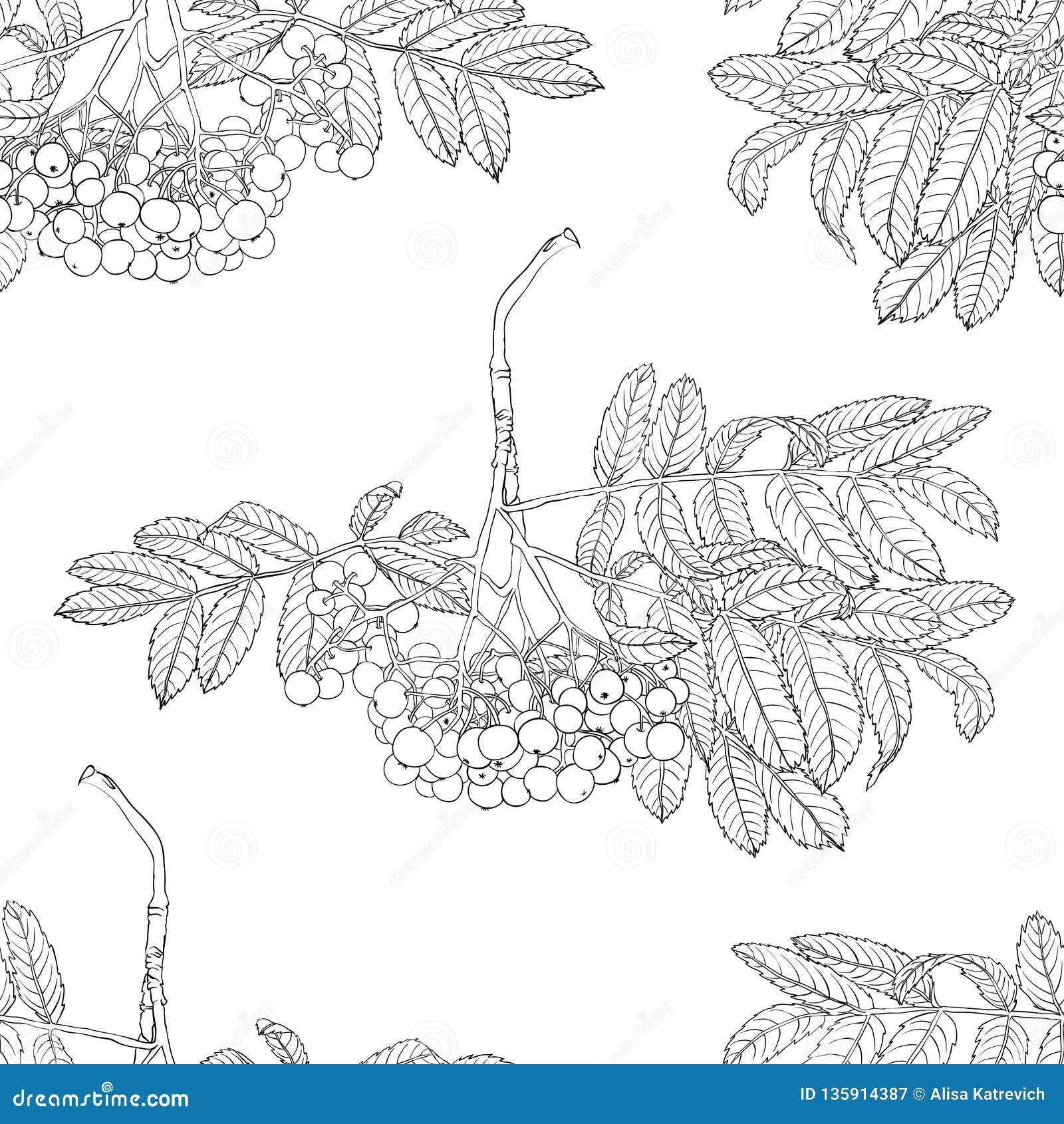 Hand Drawn Rowan Tree Seamless Pattern Isolated on White Background ...
