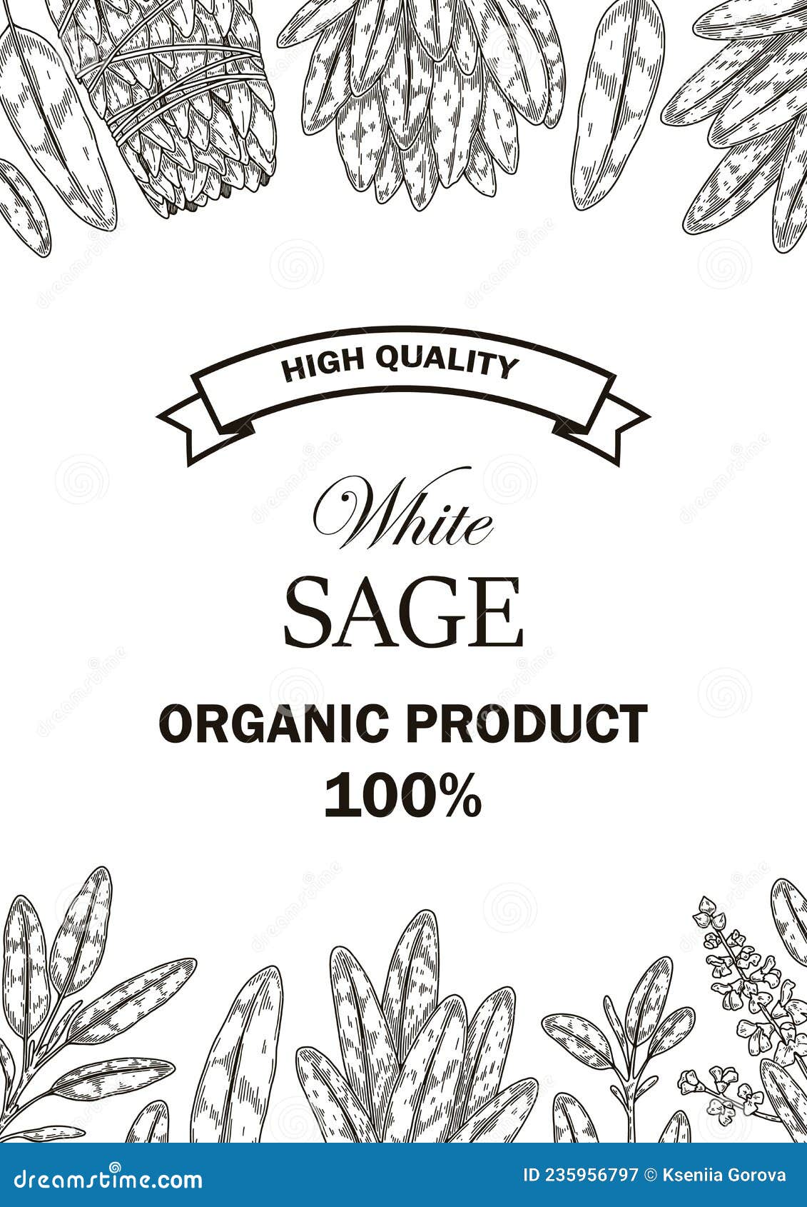 Hand Drawn Sage Design. Vector Illustration in Sketch Style Stock ...