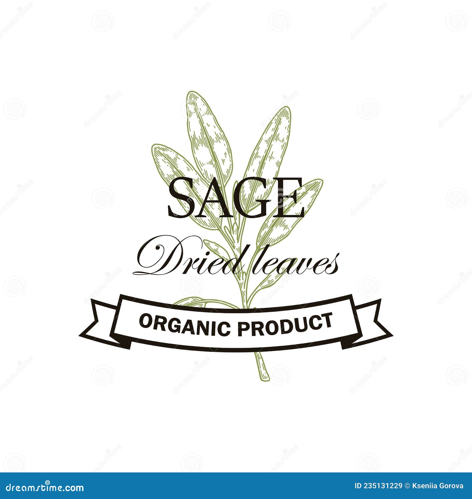 Hand Drawn Sage Logo Design. Vector Illustration in Sketch Style Stock ...