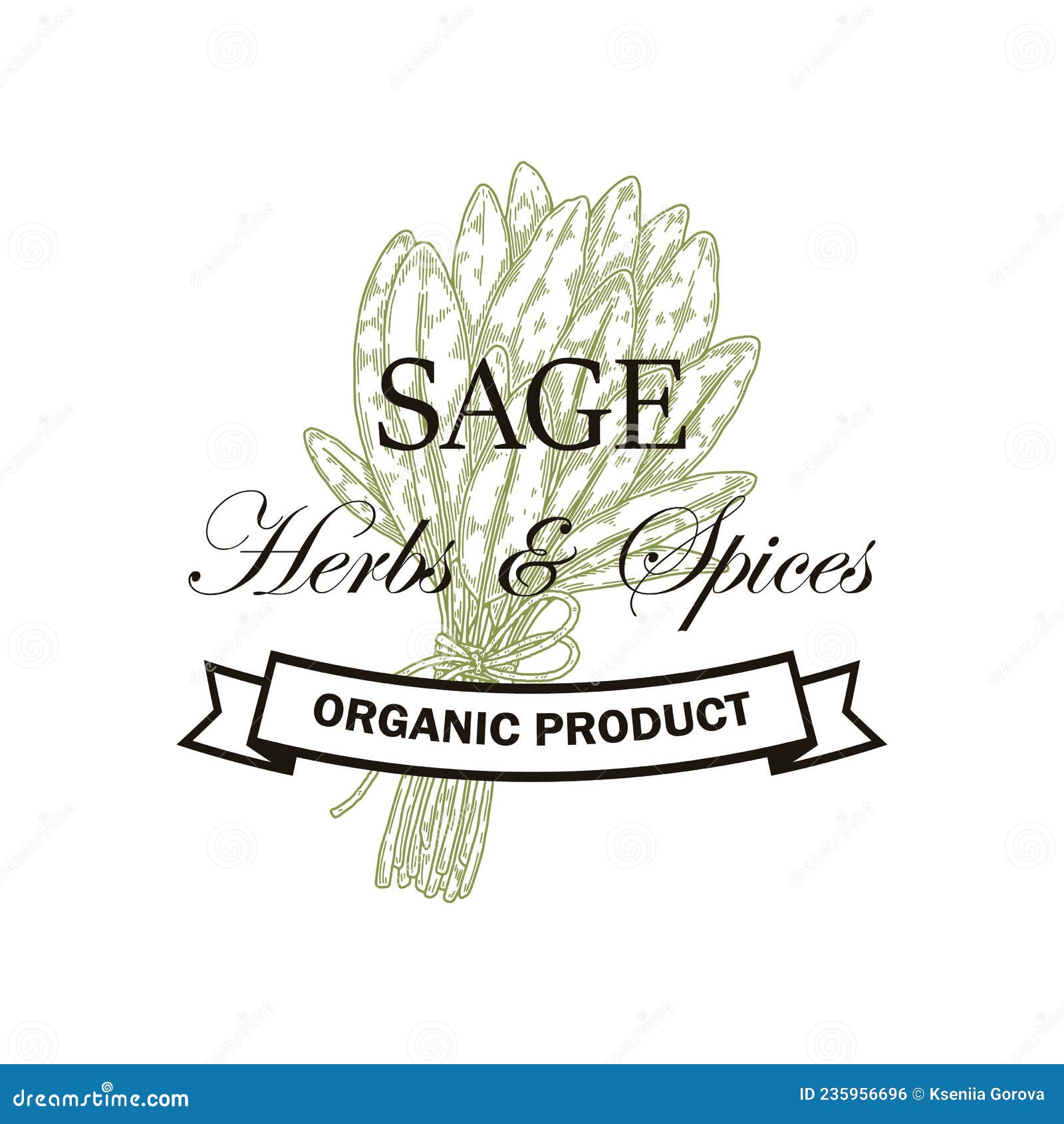 Hand Drawn Sage Logo Design. Vector Illustration in Sketch Style Stock ...