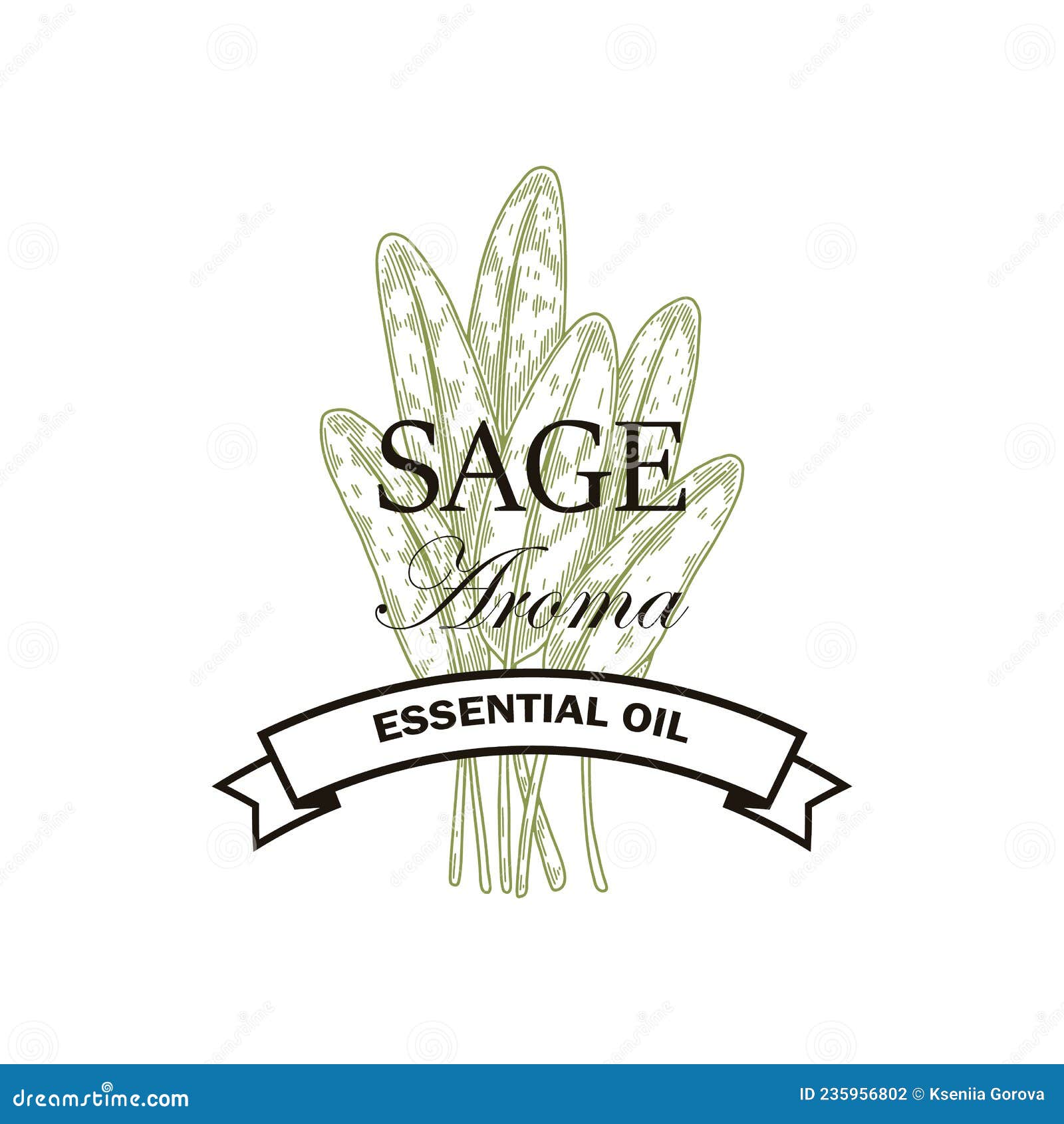 Hand Drawn Sage Logo Design. Vector Illustration in Sketch Style Stock ...