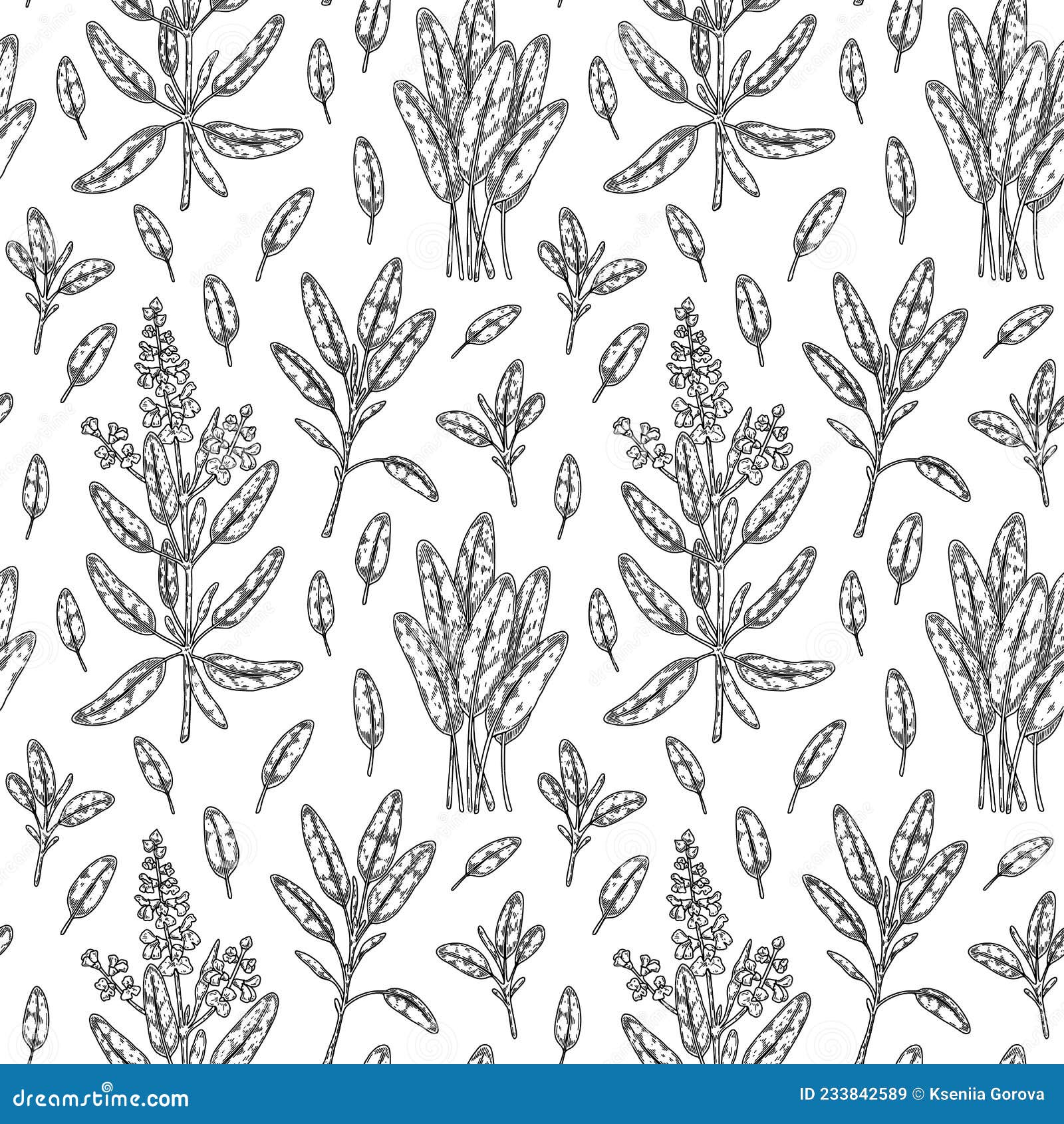 Hand Drawn Sage Seamless Pattern. Vector Illustration in Sketch Style ...