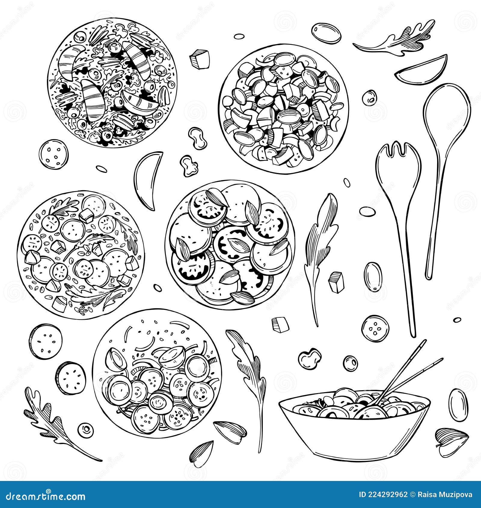 Salad Set. Vector Illustration Stock Vector - Illustration of natural ...