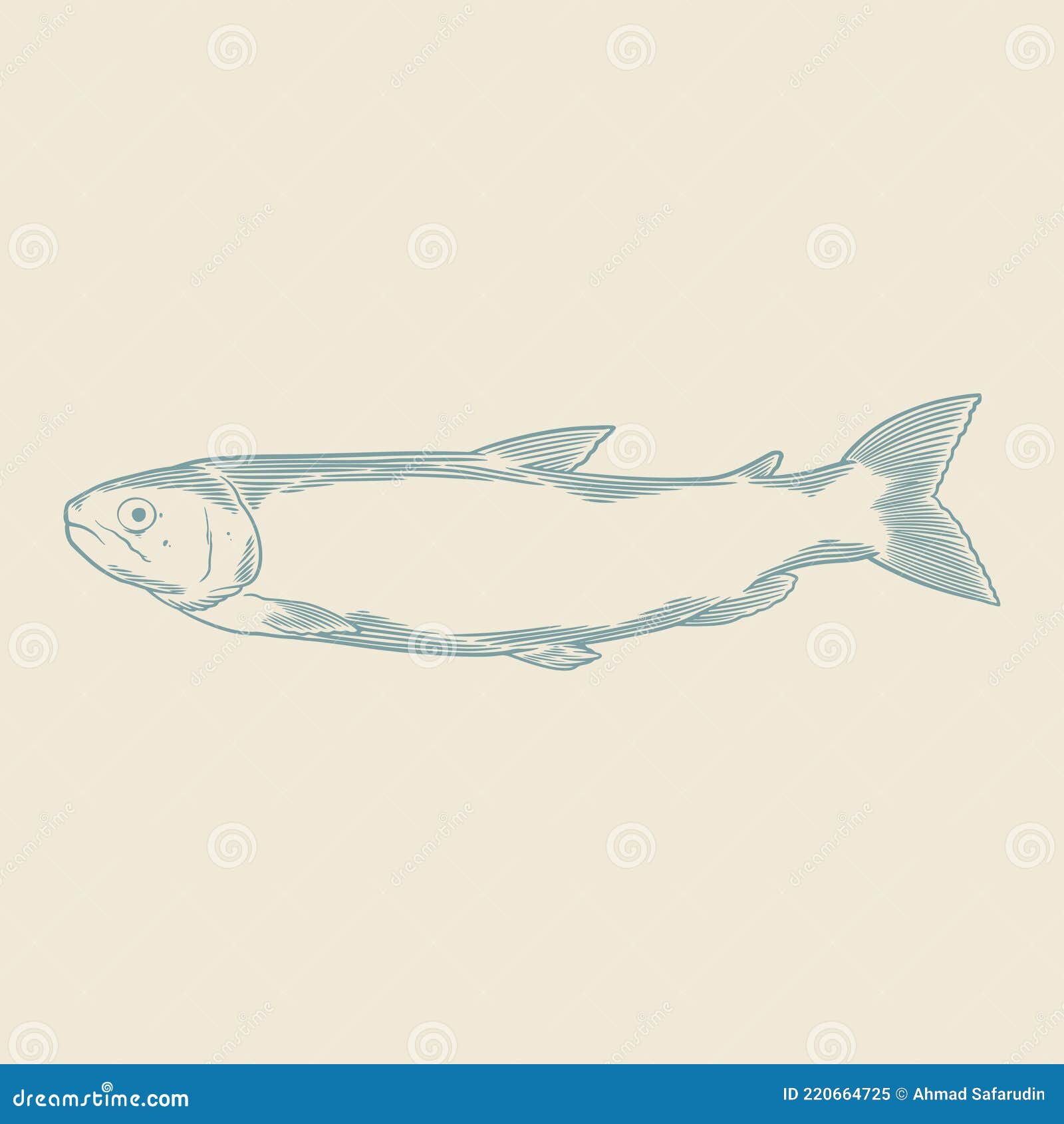 Hand Drawn of Salmon Fish. Cool Blue Salmon Fish Isolated on White ...