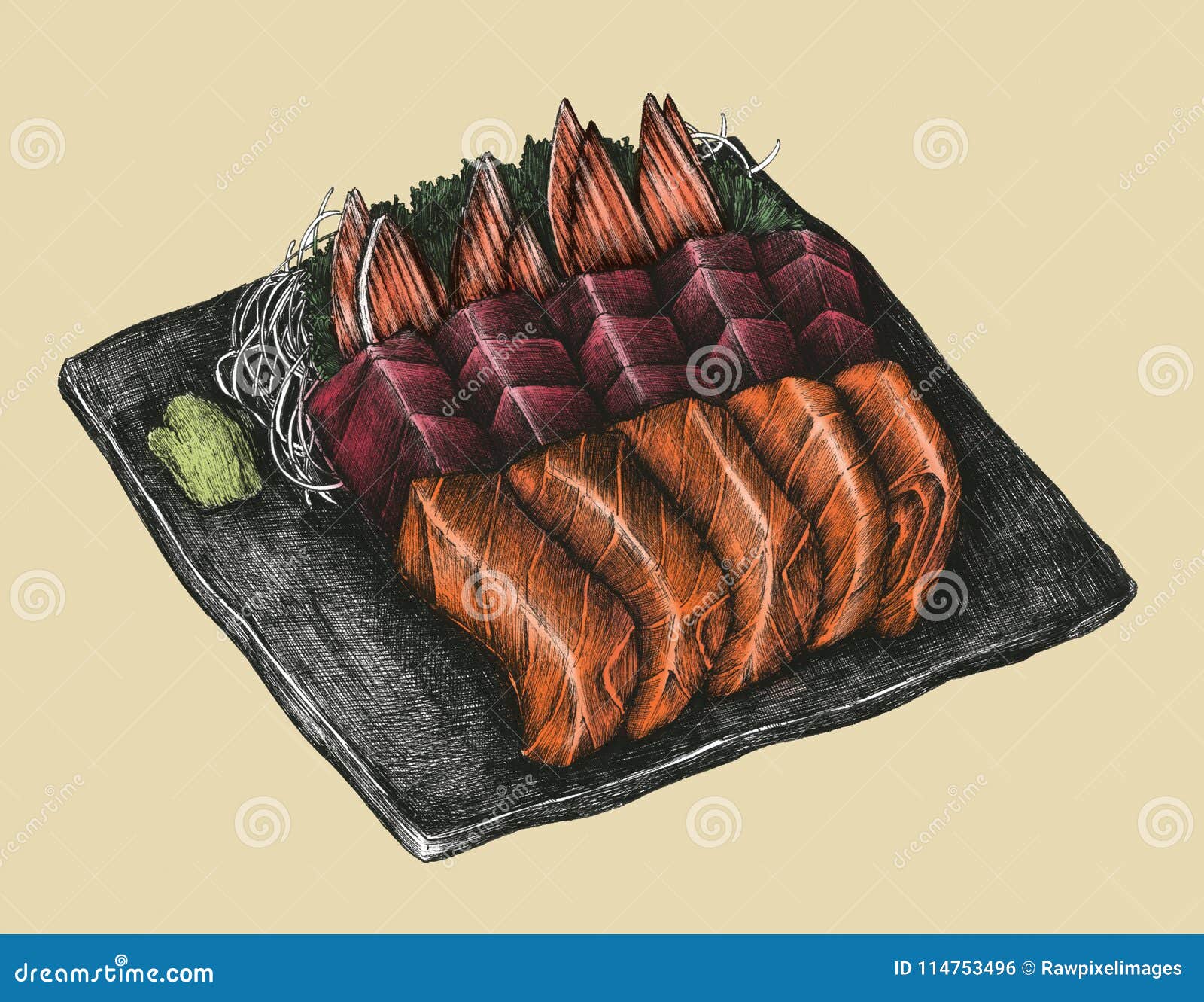 Hand Drawn Salmon Sashimi Dish Stock Illustration - Illustration of ...