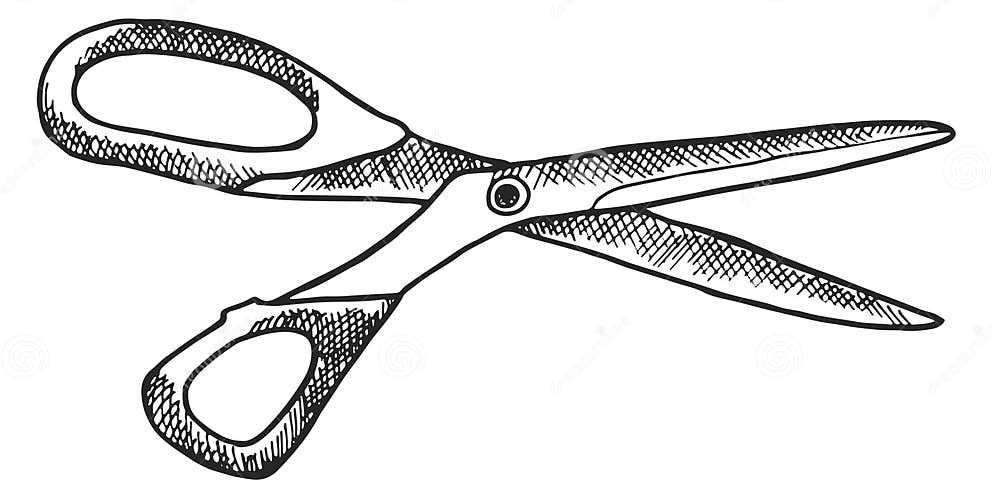 Hand Drawn Scissors. Sharp Tool Ink Sketch Stock Vector - Illustration ...