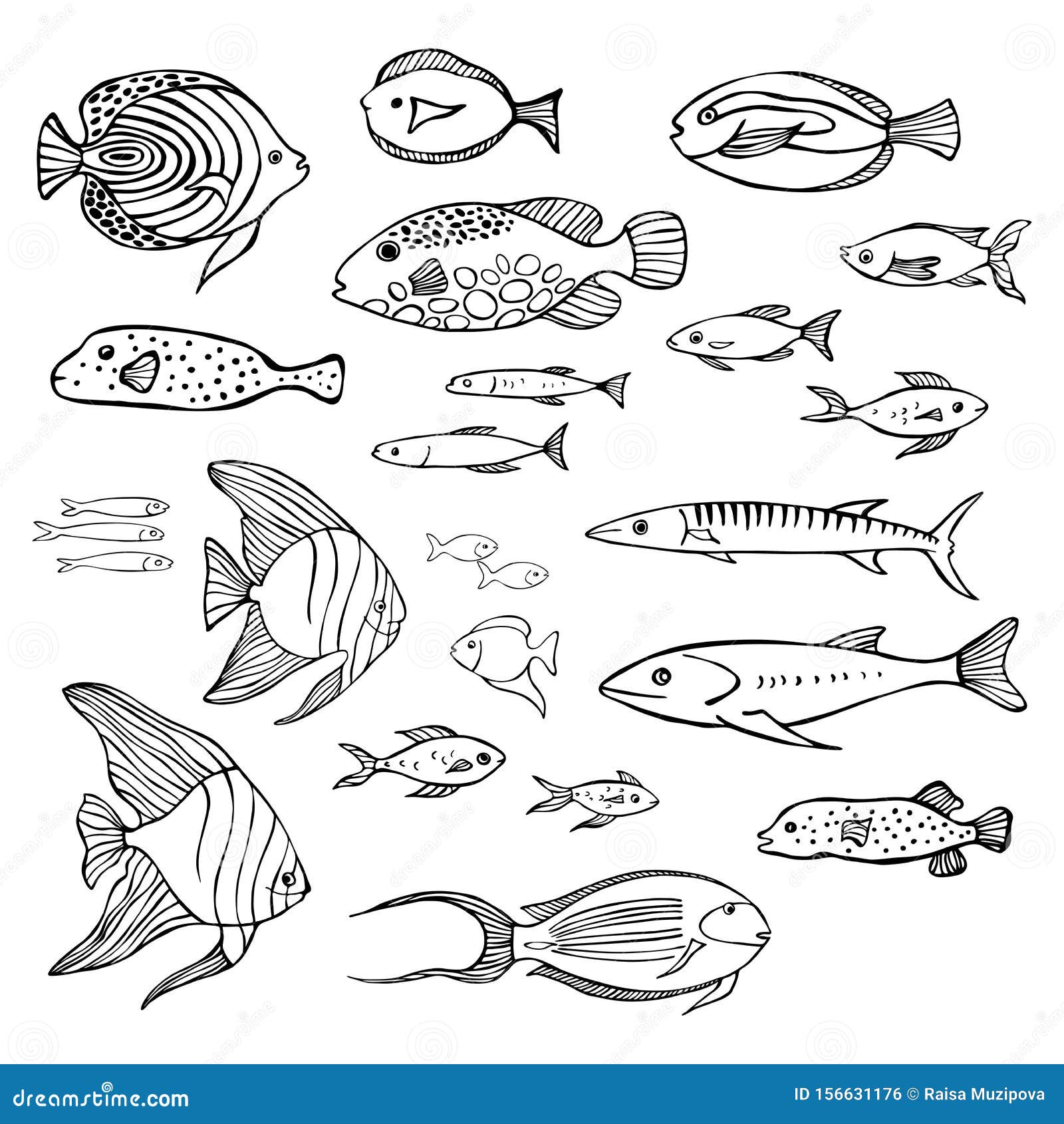 Hand Drawn Sea Fish. Vector Sketch Illustration Stock Vector ...