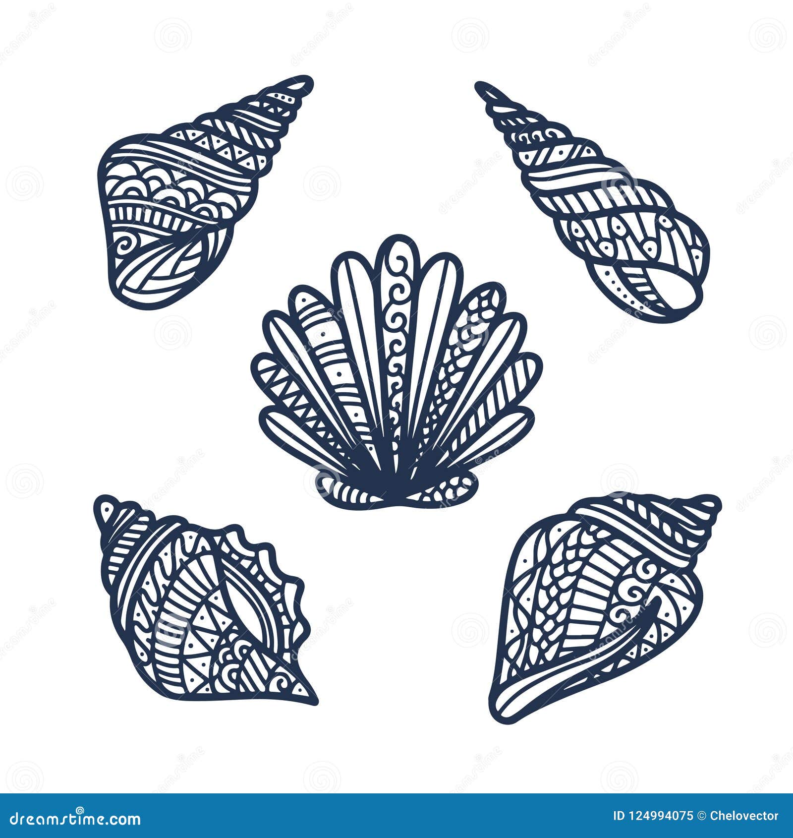 Hand Drawn Sea Shells Set. Vector Illustration. Stock Vector ...