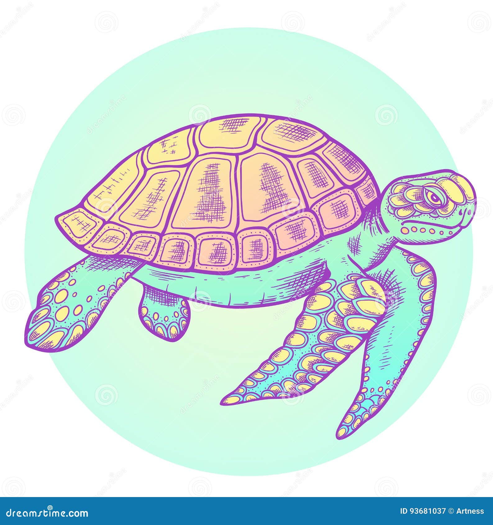 Hand drawn sea turtle stock vector. Illustration of round - 93681037
